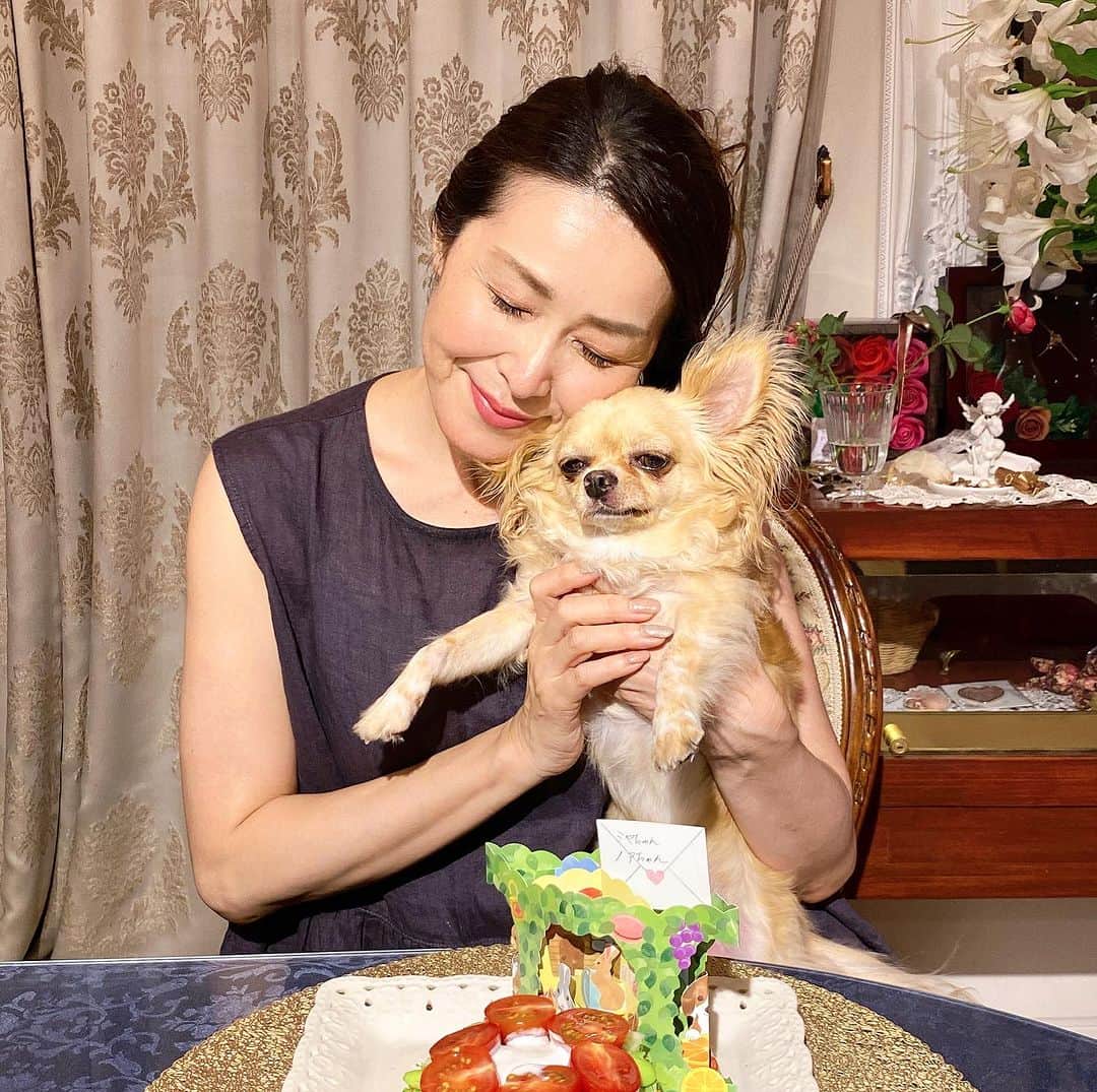 Atsukoさんのインスタグラム写真 - (AtsukoInstagram)「ノアちゃん🐶💛10歳💛 happy birthday ママ一生懸命、 野菜ケーキ作ったよ🎂♡ すっかり投稿できずに ...