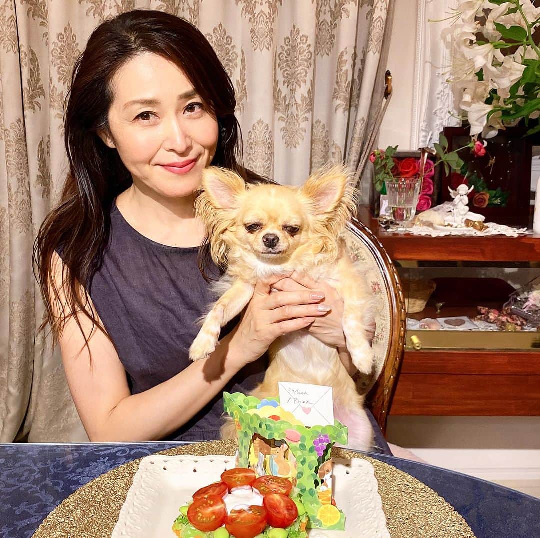 Atsukoさんのインスタグラム写真 - (AtsukoInstagram)「ノアちゃん🐶💛10歳💛 happy birthday ママ一生懸命、 野菜ケーキ作ったよ🎂♡ すっかり投稿できずに ...