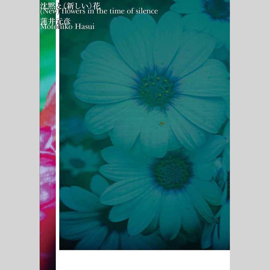 蓮井元彦さんのインスタグラム写真 蓮井元彦instagram 「「沈黙と 新しい 花」zineを9月21日に刊行します。flotsam