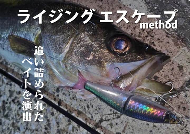 LureNews.TVさんのインスタグラム写真 - (LureNews.TVInstagram)「シーバスを呼ぶ「ミラージュJT128S」のライジング・エスケープメソッドとは https ...