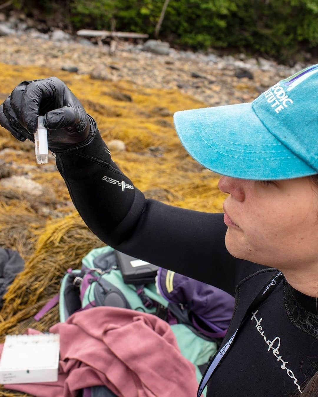 アメリカ自然史博物館さんのインスタグラム写真 - (アメリカ自然史博物館Instagram)「New research! A recent ...