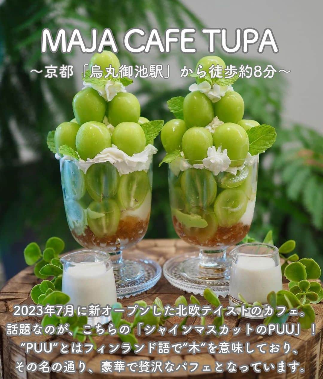 RETRIP グルメさんのインスタグラム写真 - (RETRIP グルメInstagram)「【RETRIP ×全国🍇 7選】 今回は、全国で話題の #シャインマスカット 7選をご紹介します ...