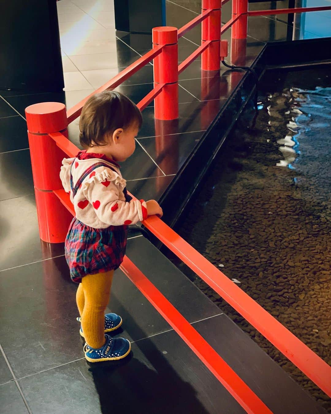 Anji SALZさんのインスタグラム写真 - (Anji SALZInstagram)「Finally its getting cooler ...