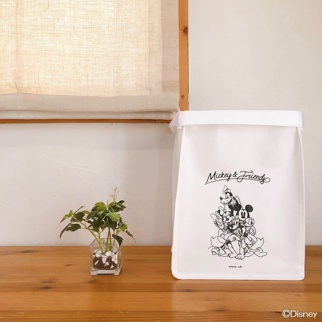 cando/キャンドゥさんのインスタグラム写真 - (cando/キャンドゥInstagram)「衣替えや荷物の整理に！ だんだん涼しくなってきたので洋服の整理をしませんか？ #ディズニー ...