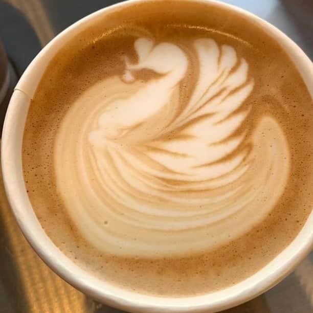 EINSHOP／アインショップさんのインスタグラム写真 - (EINSHOP／アインショップInstagram)「【朝市／日岡山公園第1駐車場前】9/30（土）16時から21時まで 出店情報 ...