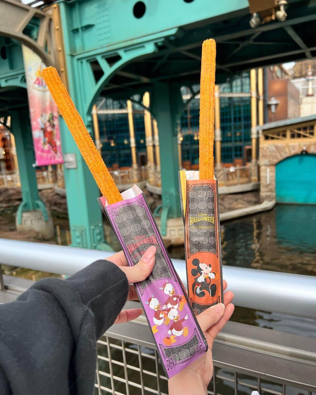柳瀬さきさんのインスタグラム写真 - (柳瀬さきInstagram)「ディズニーシー行ってきた🐻 今日も友達に癒されてシンバ🦁の ぬいぐるみも ...
