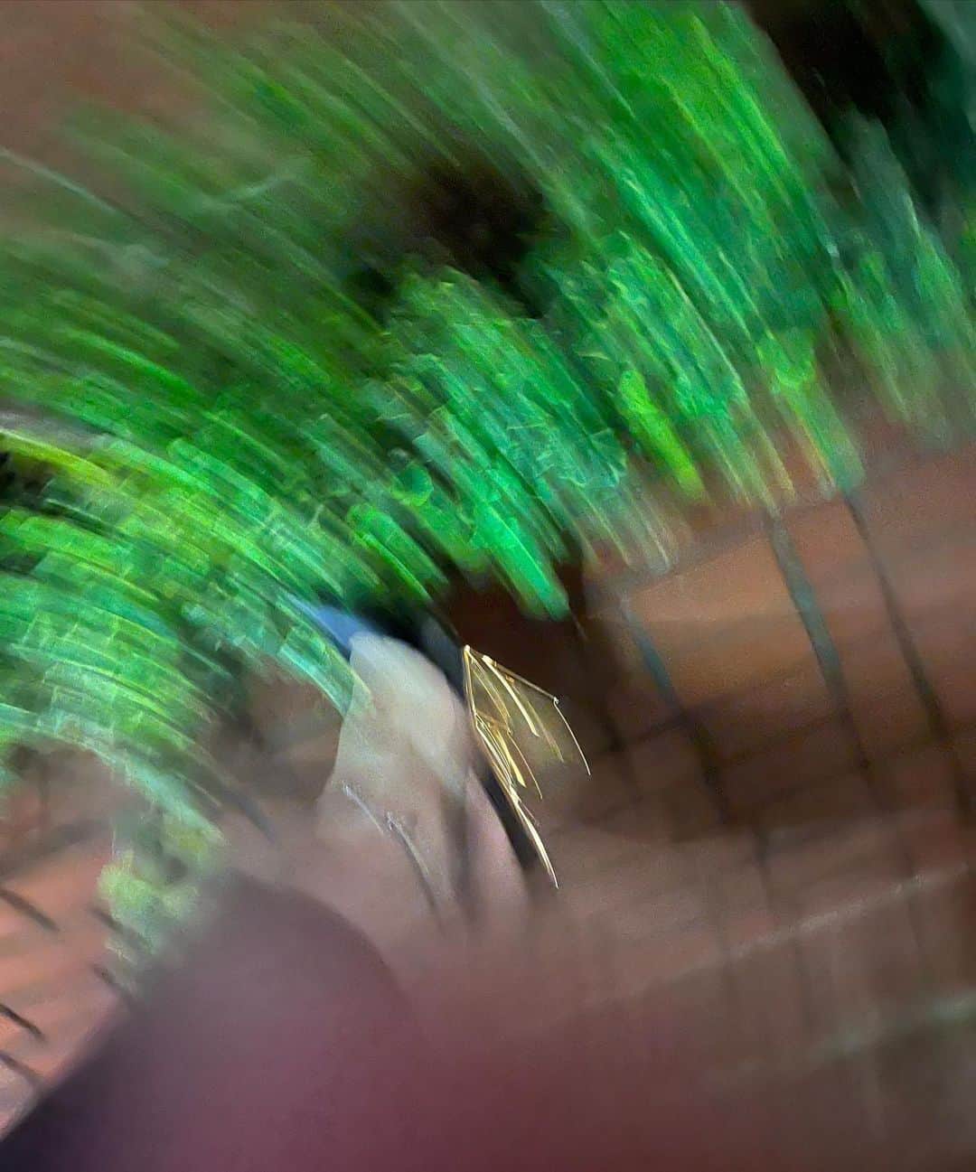 コムアイさんのインスタグラム写真 - (コムアイInstagram)「一年ぶりのハイヒール🚅 まだ一年前は妊娠していなかったのだから、命は ...