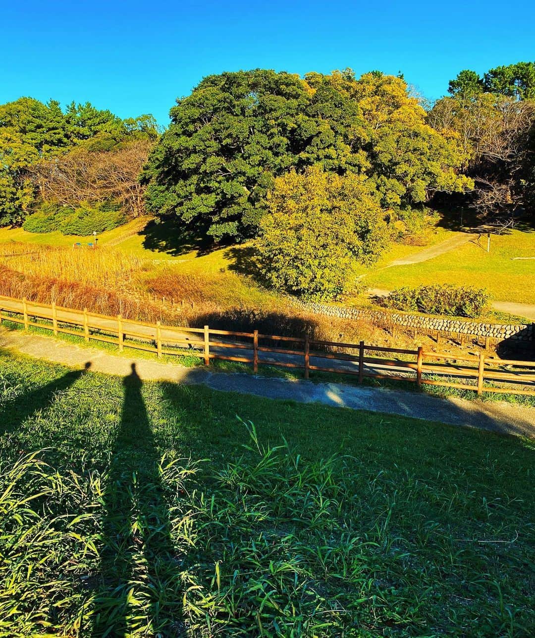 本間将人さんのインスタグラム写真 - (本間将人Instagram)「ゴスペラーズ坂ツアー2023 “HERE & NOW” 豊橋公演でしたぁー！！皆様ありがとうございました😊 また会おうねっ ...