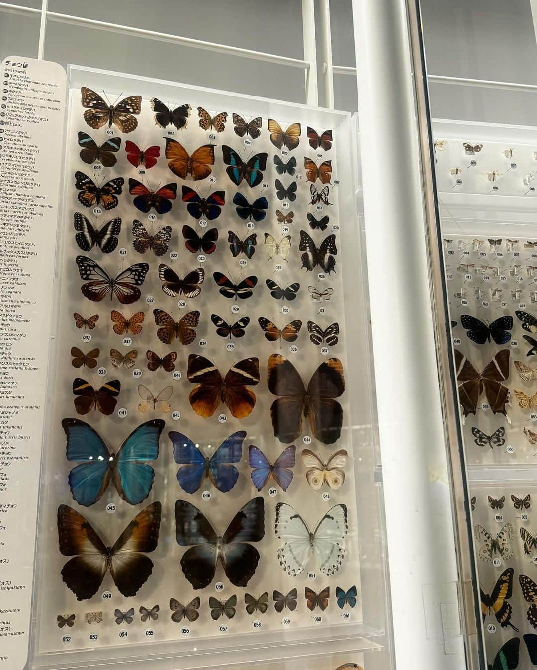 櫻子さんのインスタグラム - (櫻子@rako_bear_)