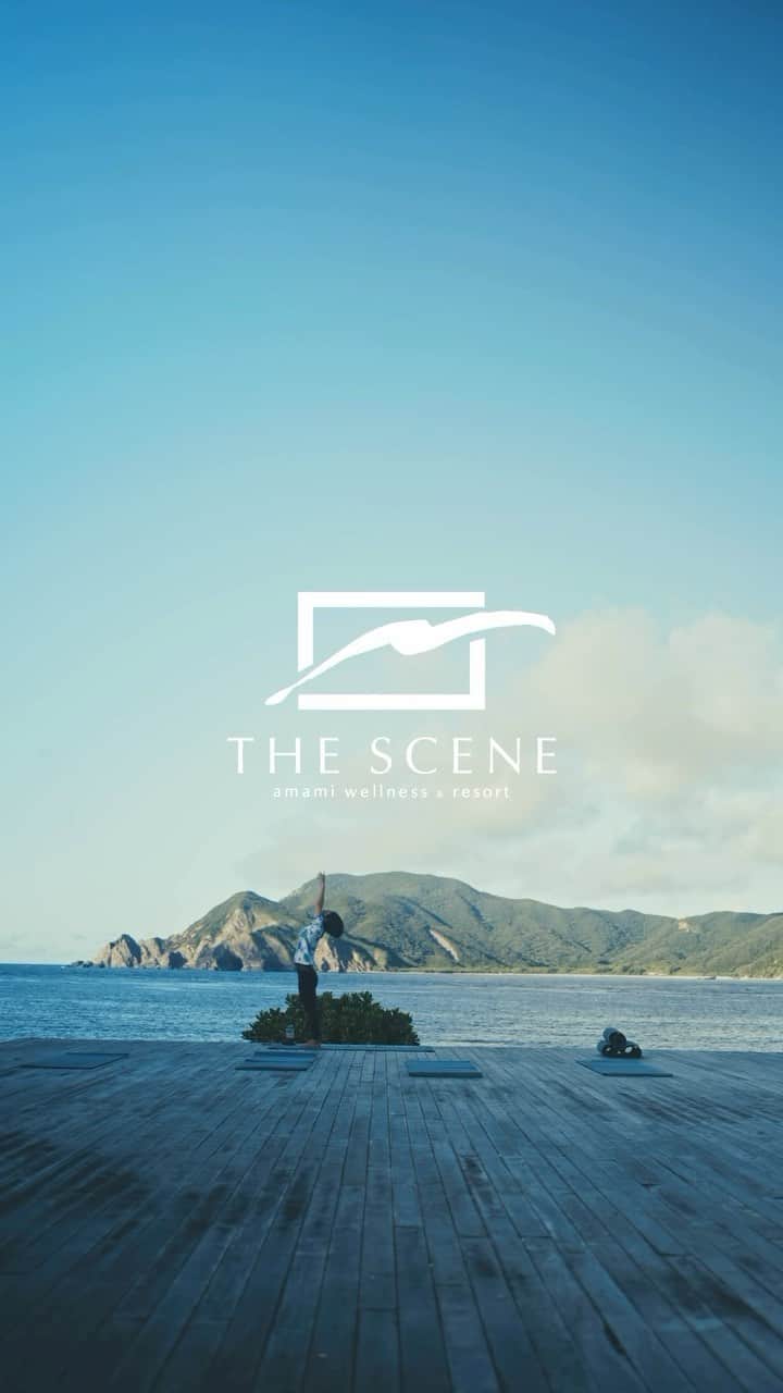 HOTEL THE SCENE -ホテル ザ シーン- さんのインスタグラム動画 - (HOTEL THE SCENE -ホテル ザ シーン ...