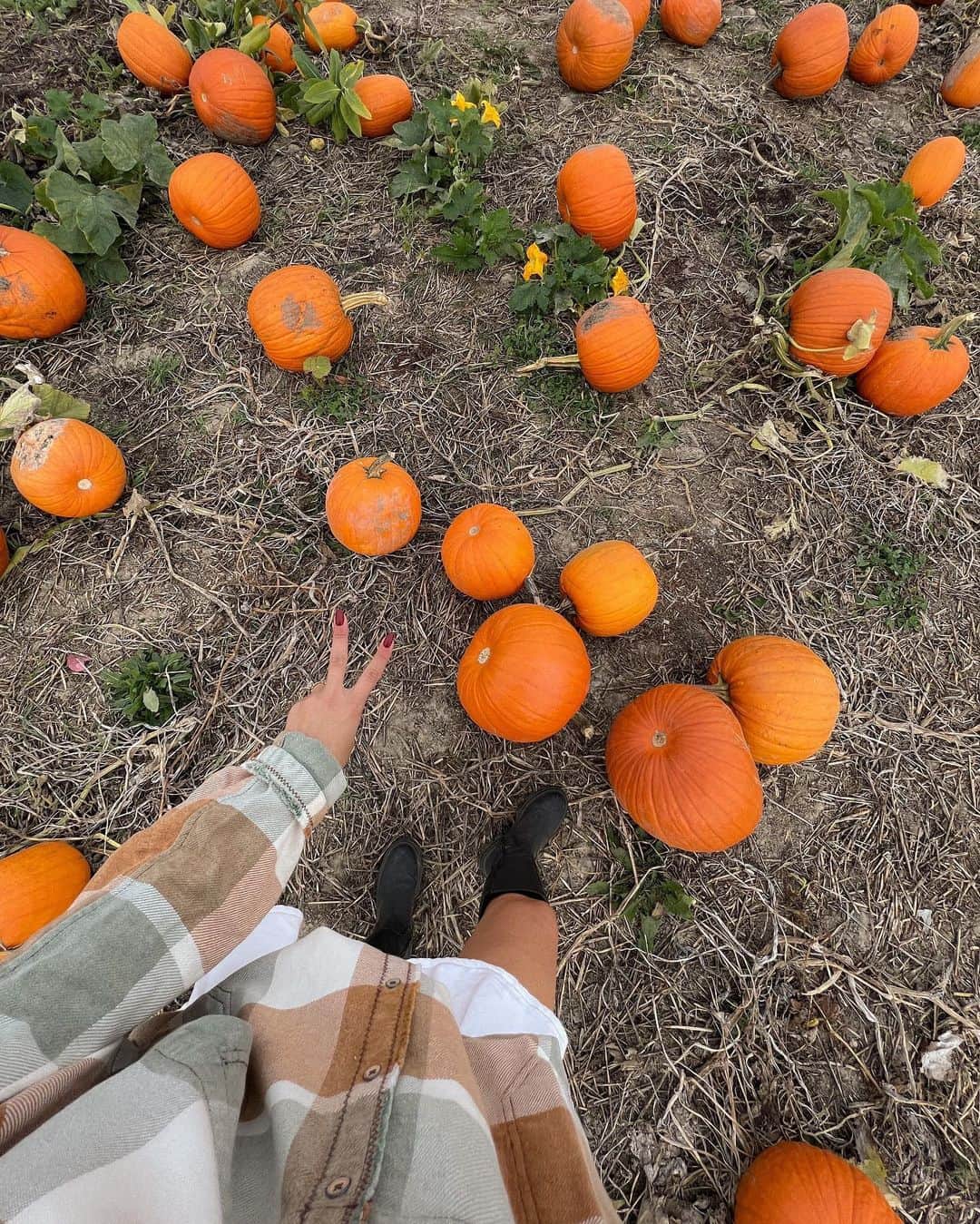 Alex Centomoさんのインスタグラム写真 - (Alex CentomoInstagram)「🎃🍂🕯️」10月7日 2時25分 ...