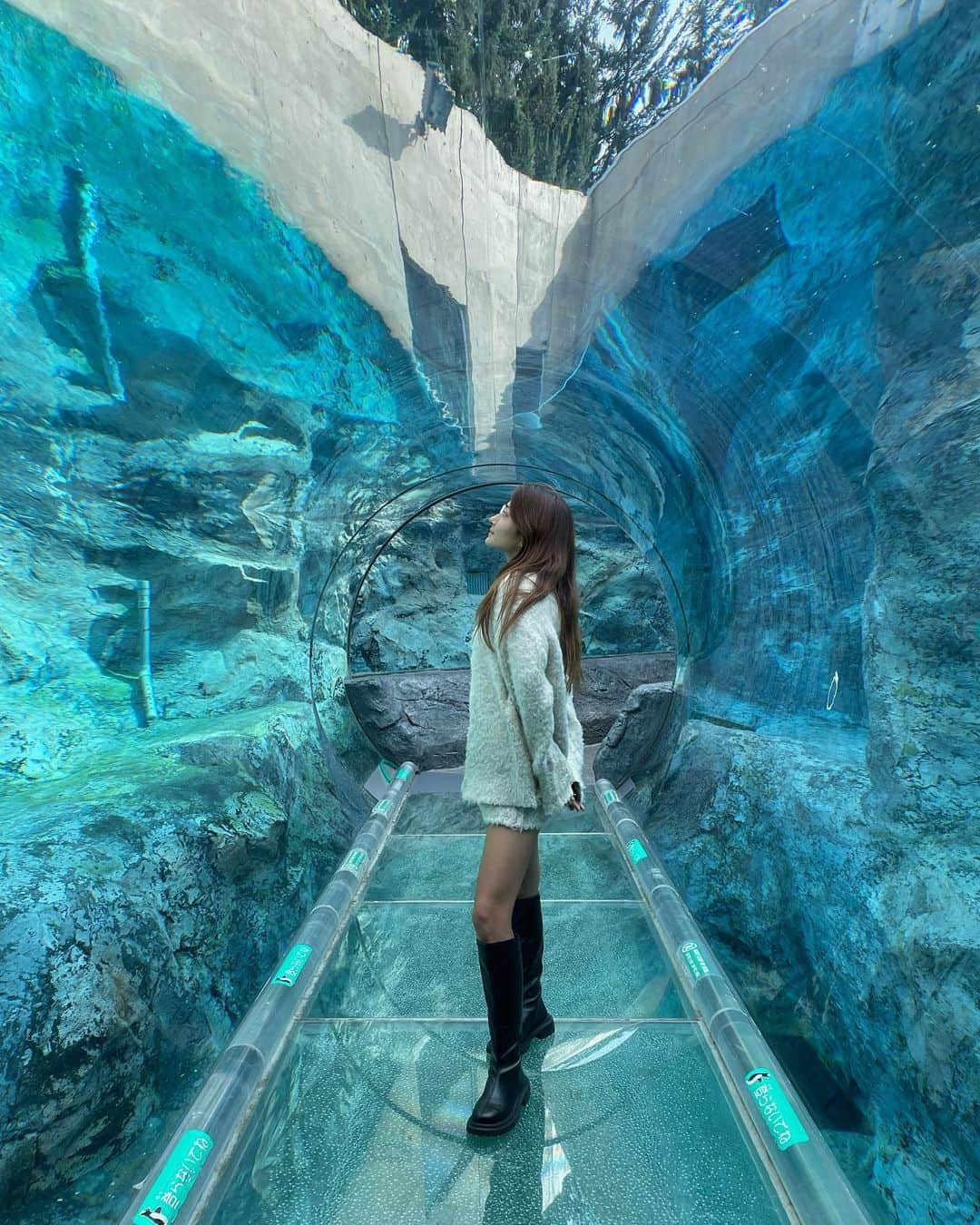 Isari Shintaniさんのインスタグラム写真 - (Isari ShintaniInstagram)「旭山動物園🐧 めちゃくちゃ綺麗な ...