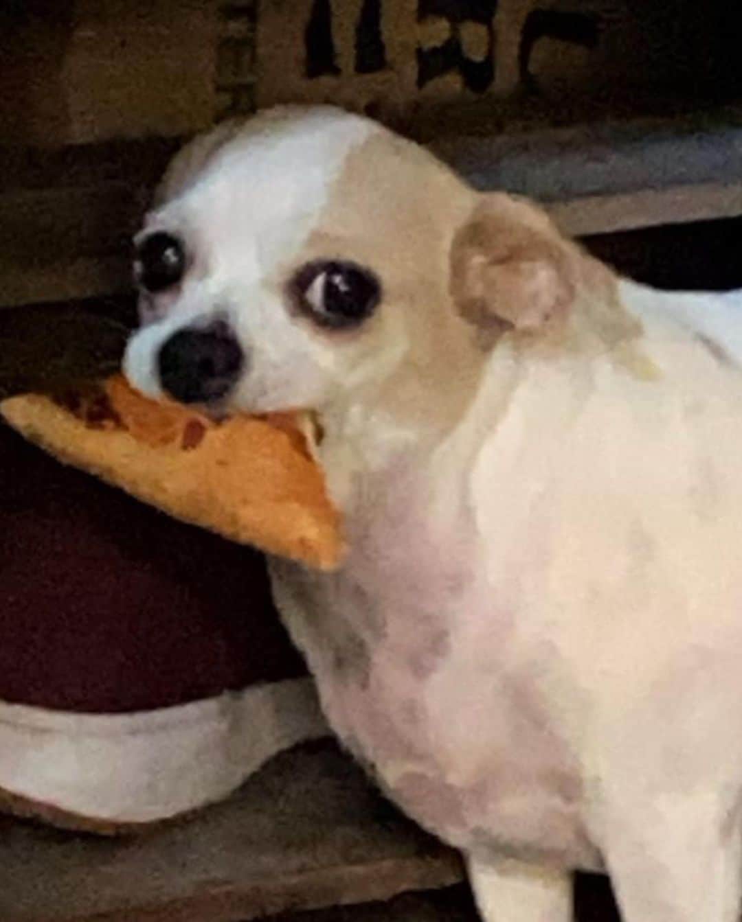 Kathryn Bernardoさんのインスタグラム写真 - (Kathryn BernardoInstagram)「I lob a ...