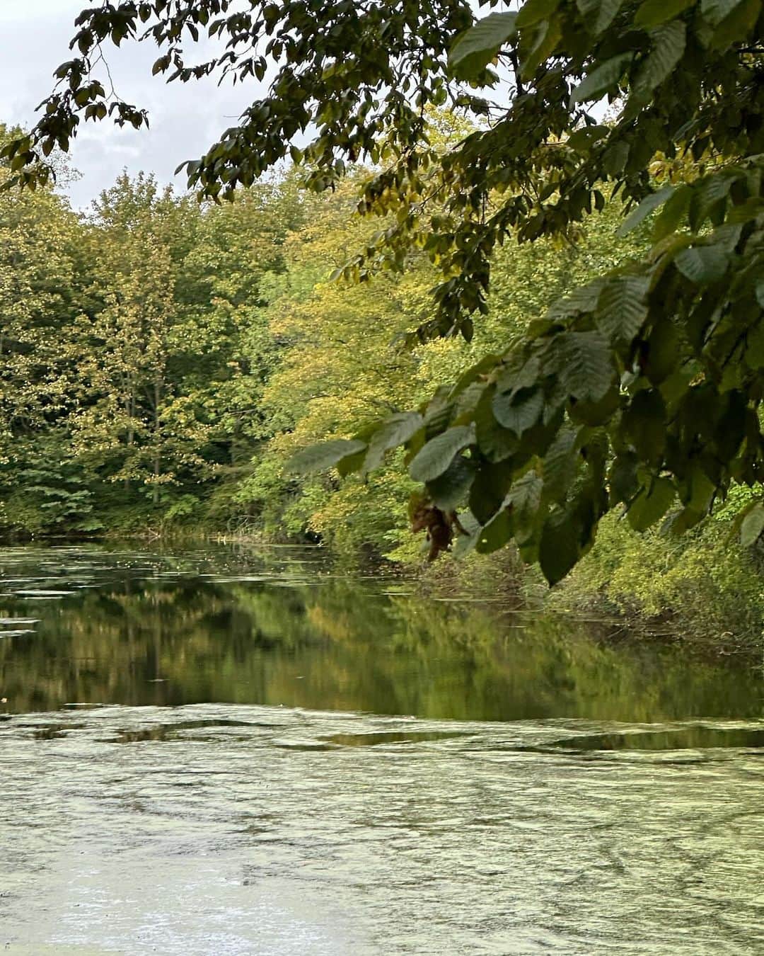 Mathilde Goehlerさんのインスタグラム写真 - (Mathilde GoehlerInstagram)「Fall on my ...