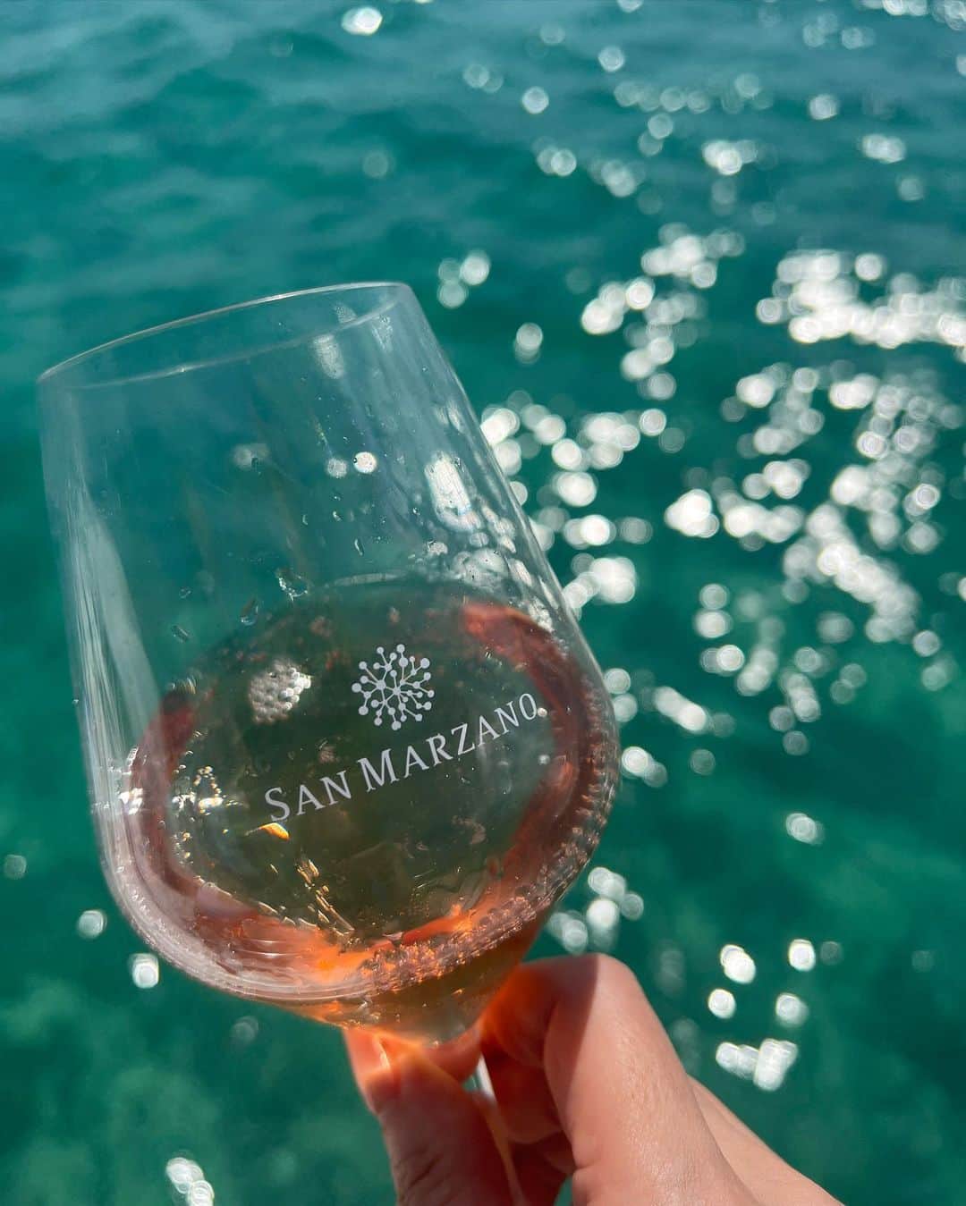 ImotoEtsuyo さんのインスタグラム写真 - (ImotoEtsuyo Instagram)「@sanmarzanowines # ...