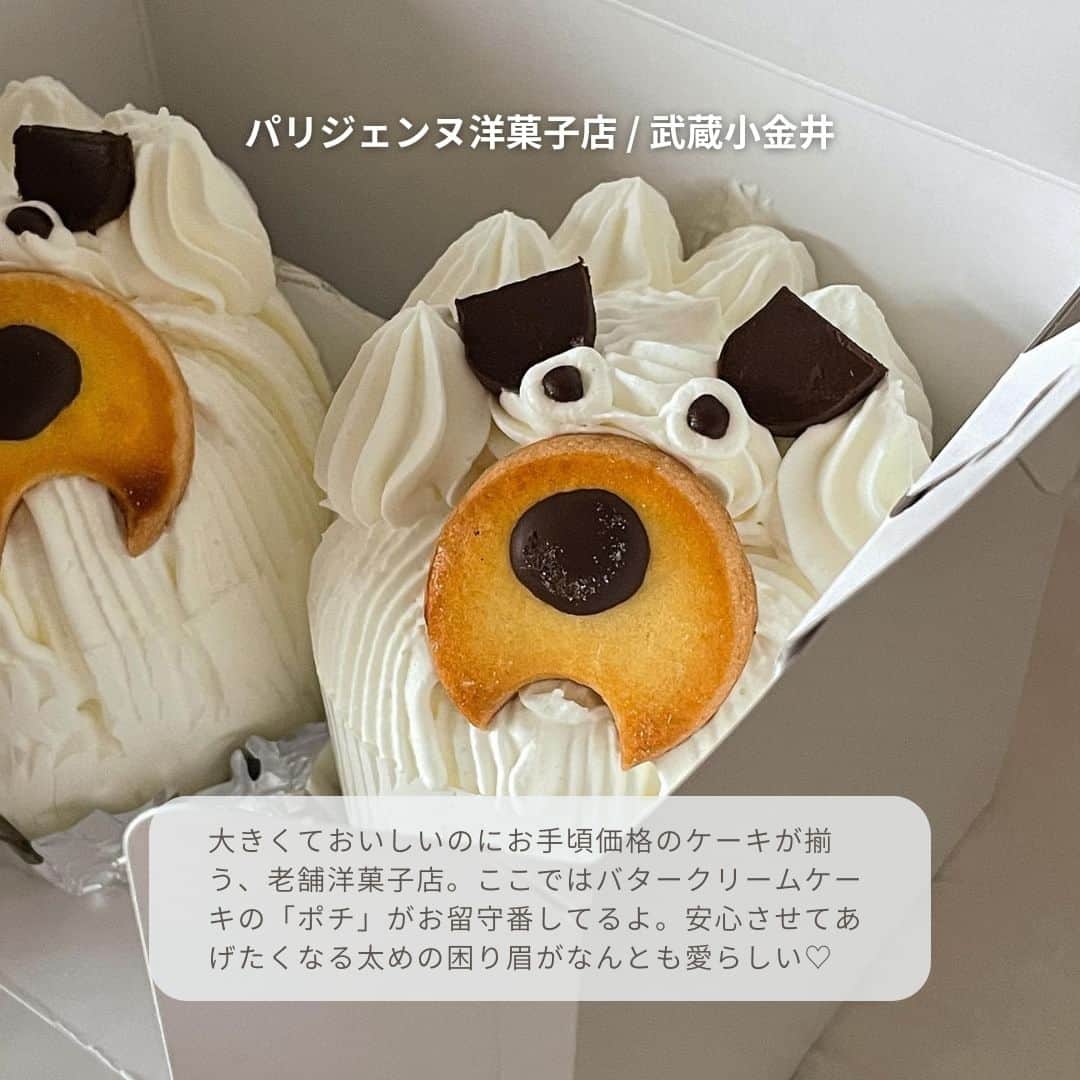 isutaさんのインスタグラム写真 - (isutaInstagram)「「犬派？猫派？」という定番の2択質問として話題に上がることが多いほど ...
