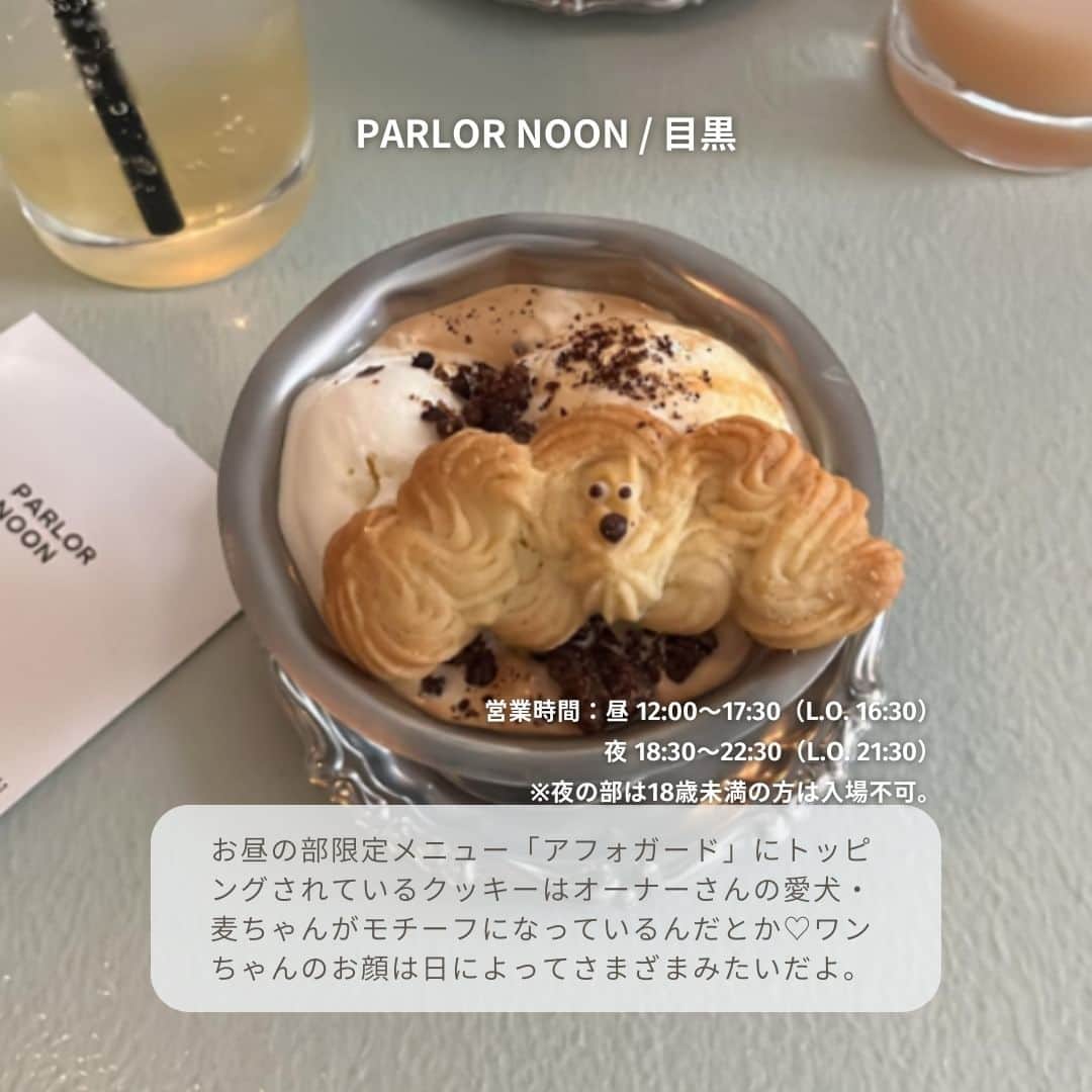 isutaさんのインスタグラム写真 - (isutaInstagram)「「犬派？猫派？」という定番の2択質問として話題に上がることが多いほど ...