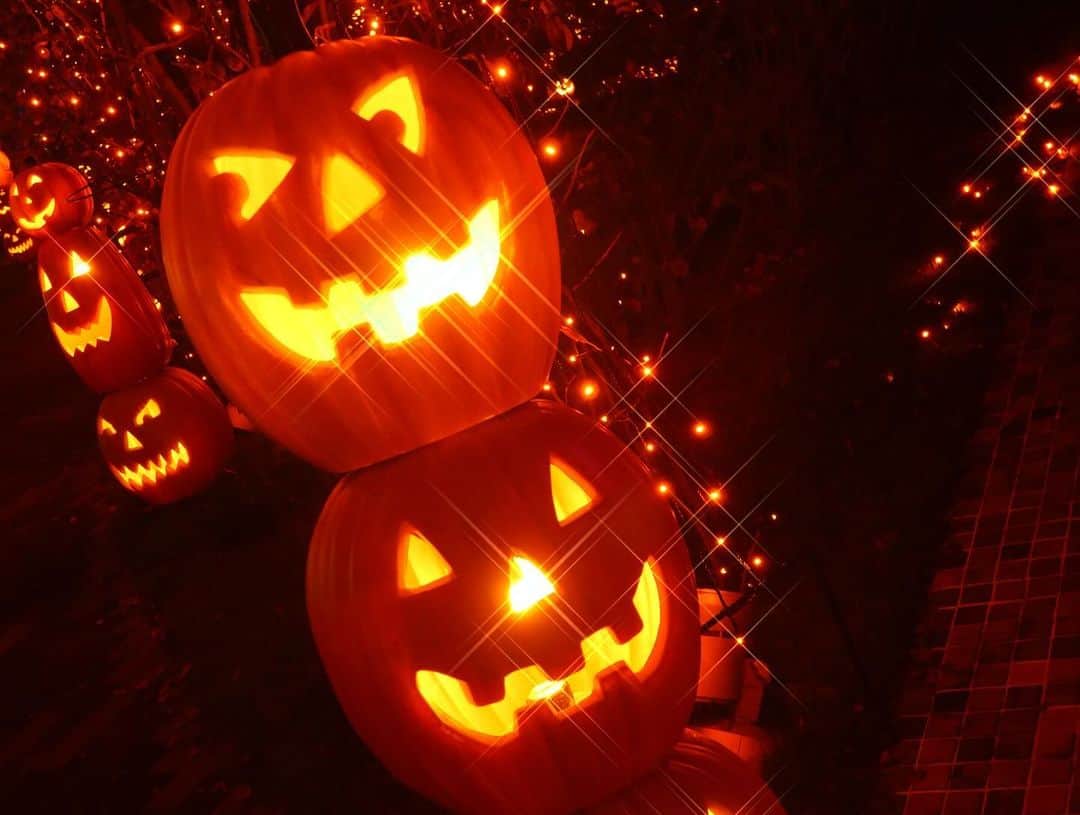 彦摩呂さんのインスタグラム写真 - (彦摩呂Instagram)「お知らせします〜 #ハウステンボス を堪能してきました！ 10/14(土)16:30〜 テレビ熊本 「#若っ人ランド」 tku ...