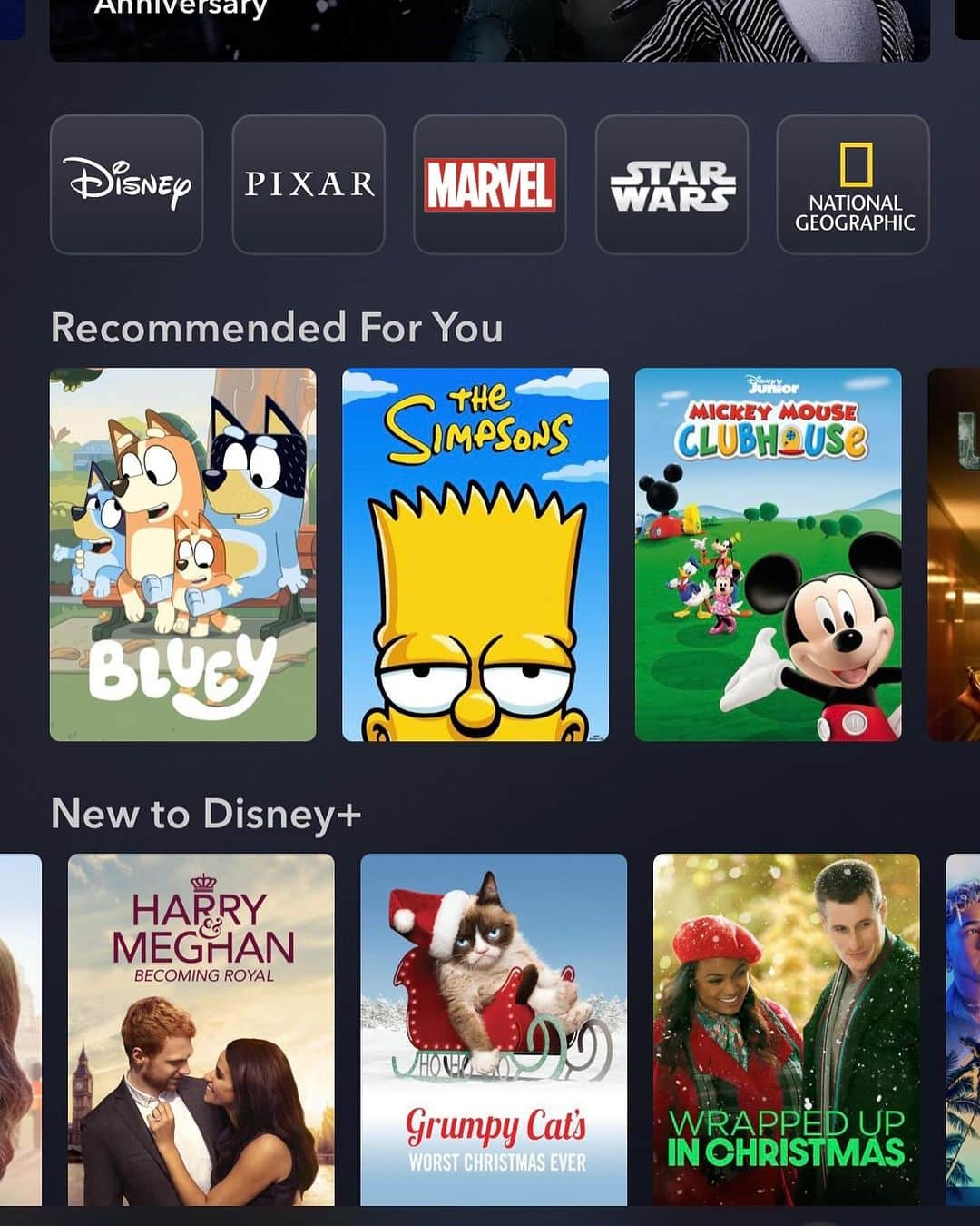 Grumpy Catさんのインスタグラム写真 - (Grumpy CatInstagram)「How to celebrate # ...