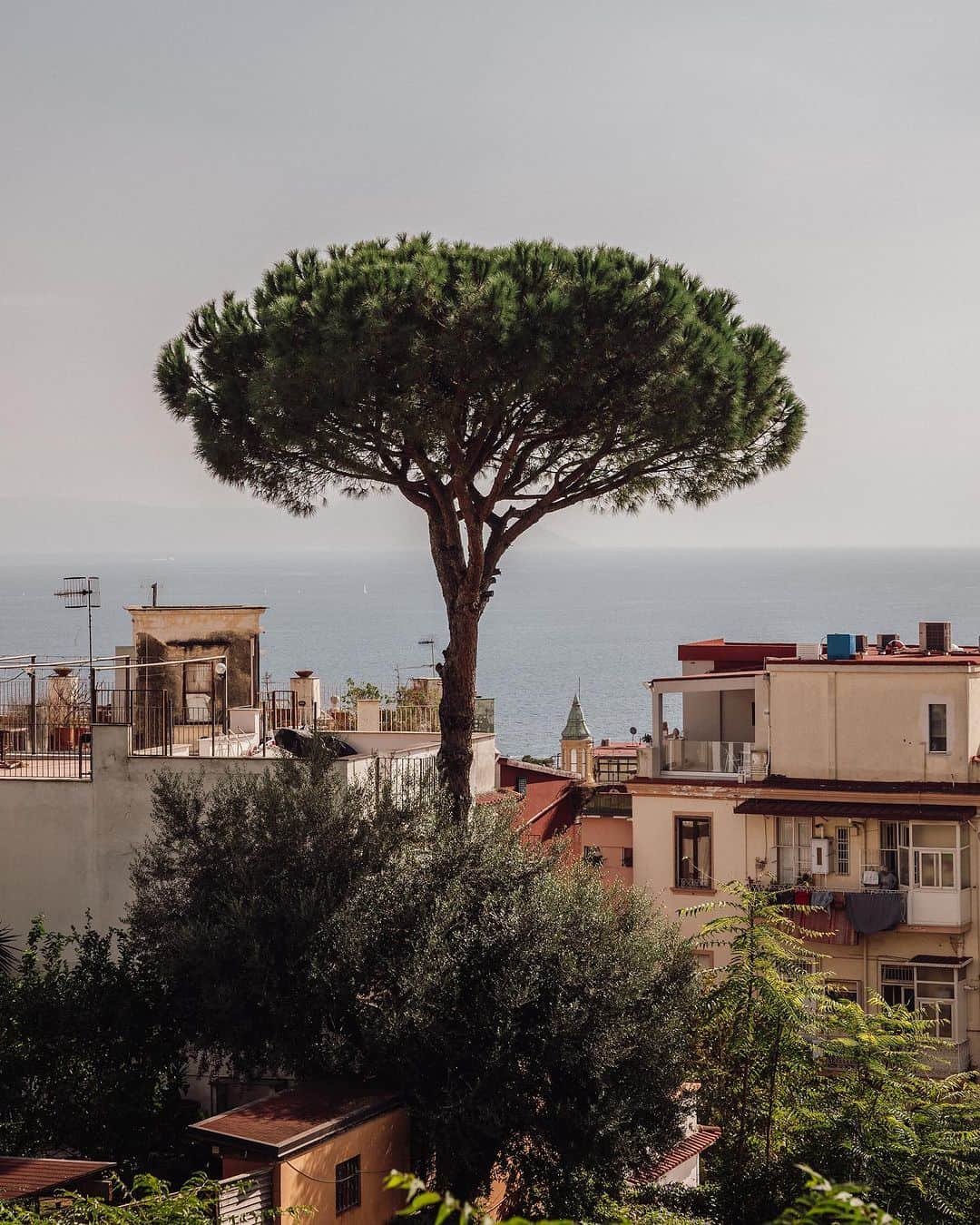 SSCナポリさんのインスタグラム写真 - (SSCナポリInstagram)「NA💙」10月15日 22時55分 ...