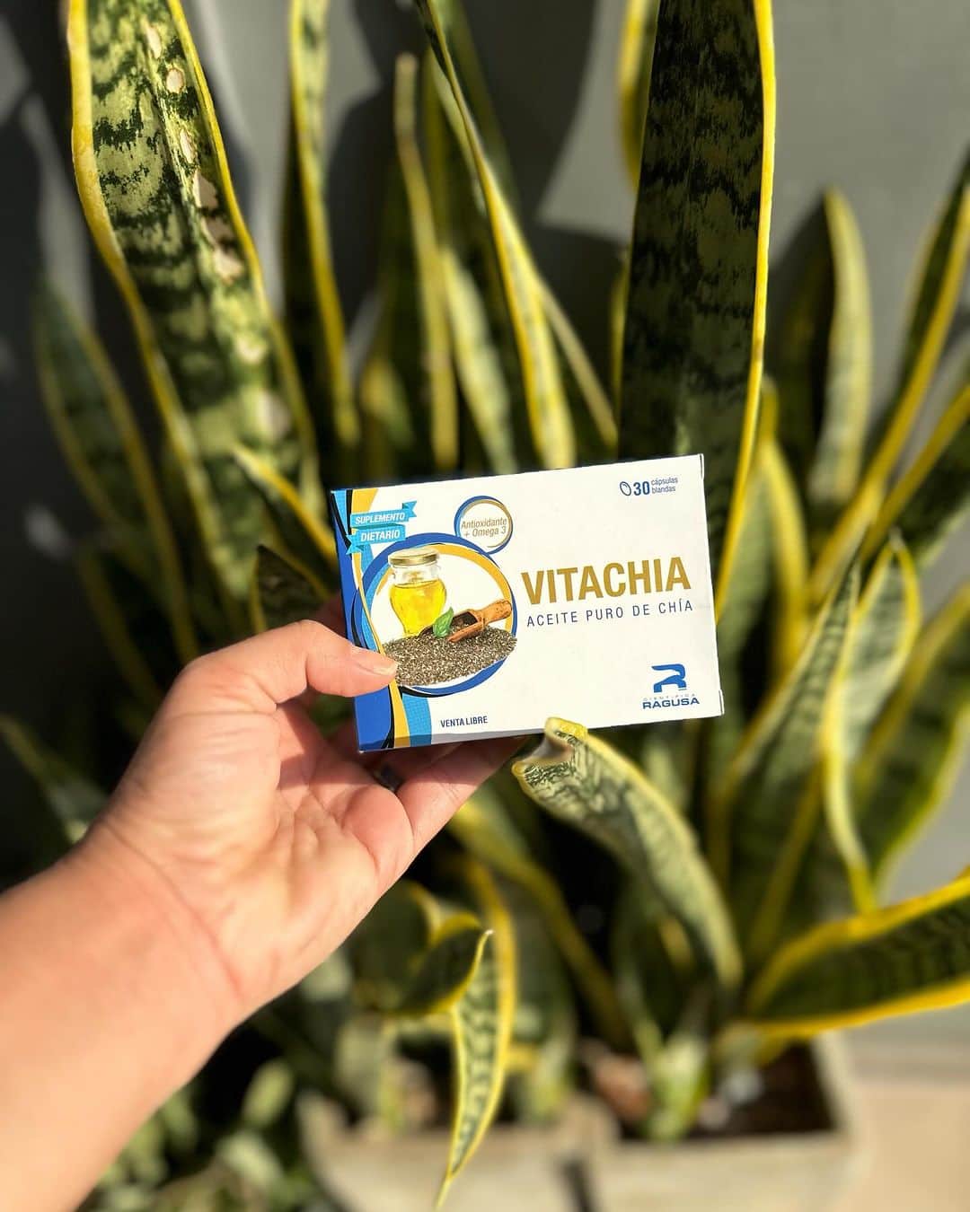 ラリッサ・リケルメさんのインスタグラム写真 - (ラリッサ・リケルメInstagram)「🌸 Buen día 🌸 Feliz martes ...