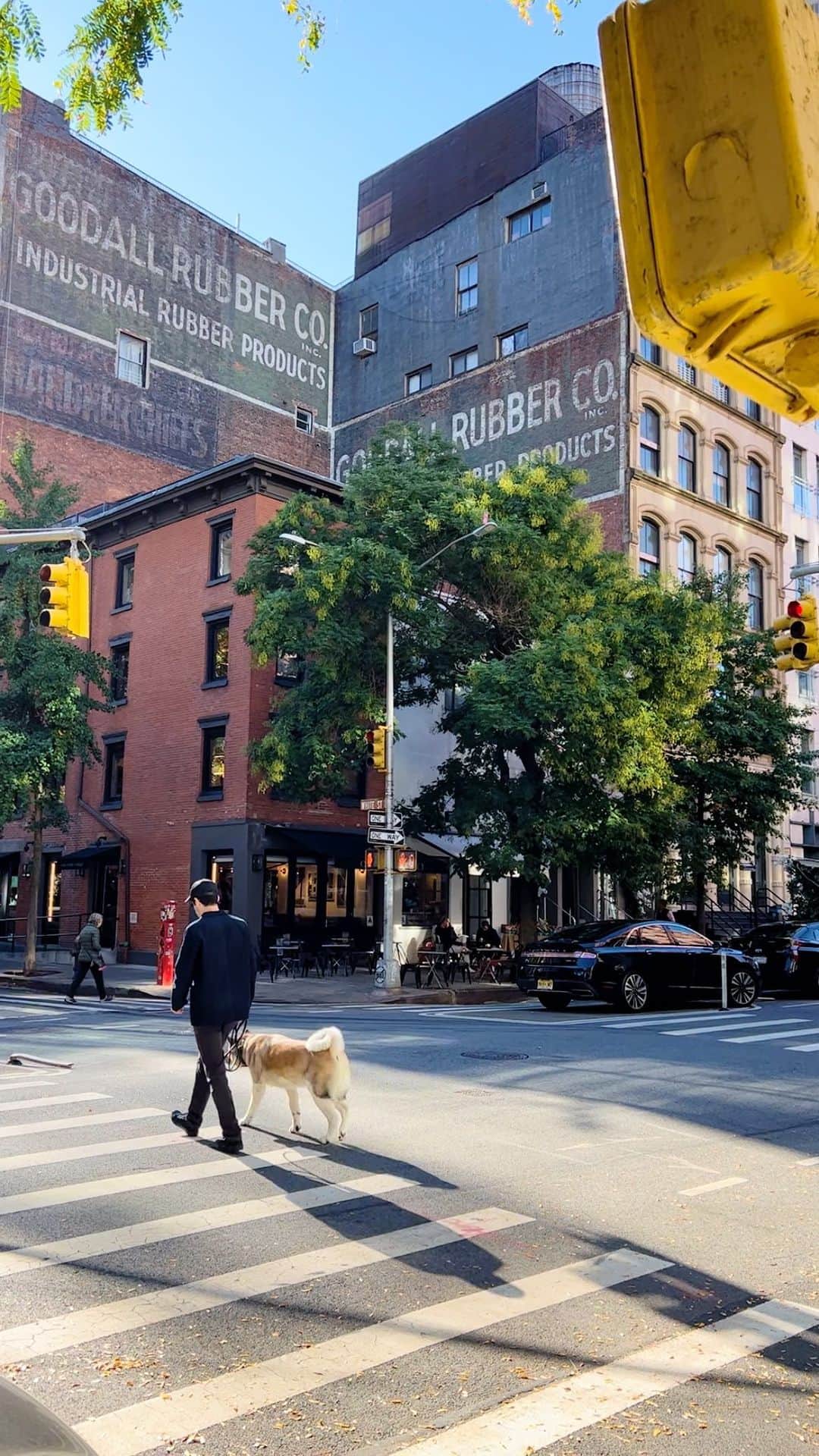 Ilana Wilesさんのインスタグラム動画 - (Ilana WilesInstagram)「I love NYC so much, I watch this template every ...