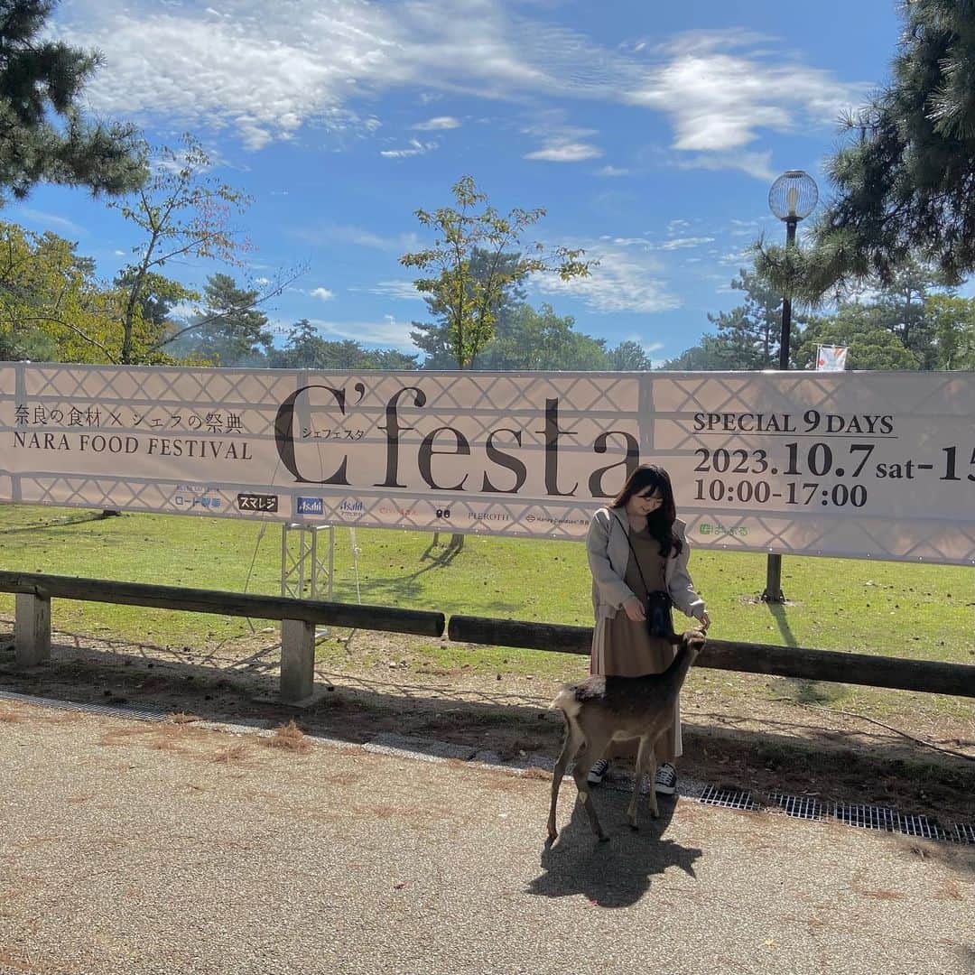 上野貴穂さんのインスタグラム写真 - (上野貴穂Instagram)「. シェフェスタ行って来た👨🏻‍🍳 スフレオムレツがふわっとろで絶品でした😋 #シェフェスタ #cfesta #シェ ...