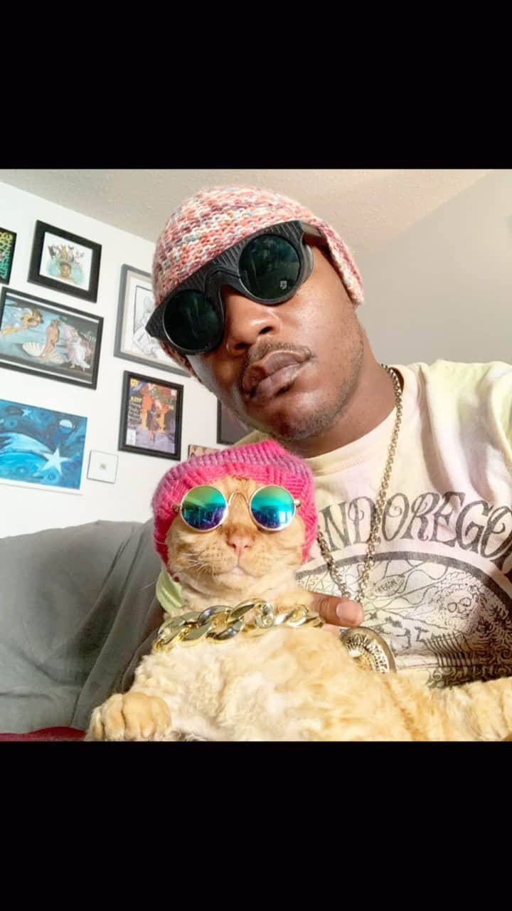 MSHO™(The Cat Rapper) さんのインスタグラム - (MSHO™(The Cat Rapper) @iammoshow)