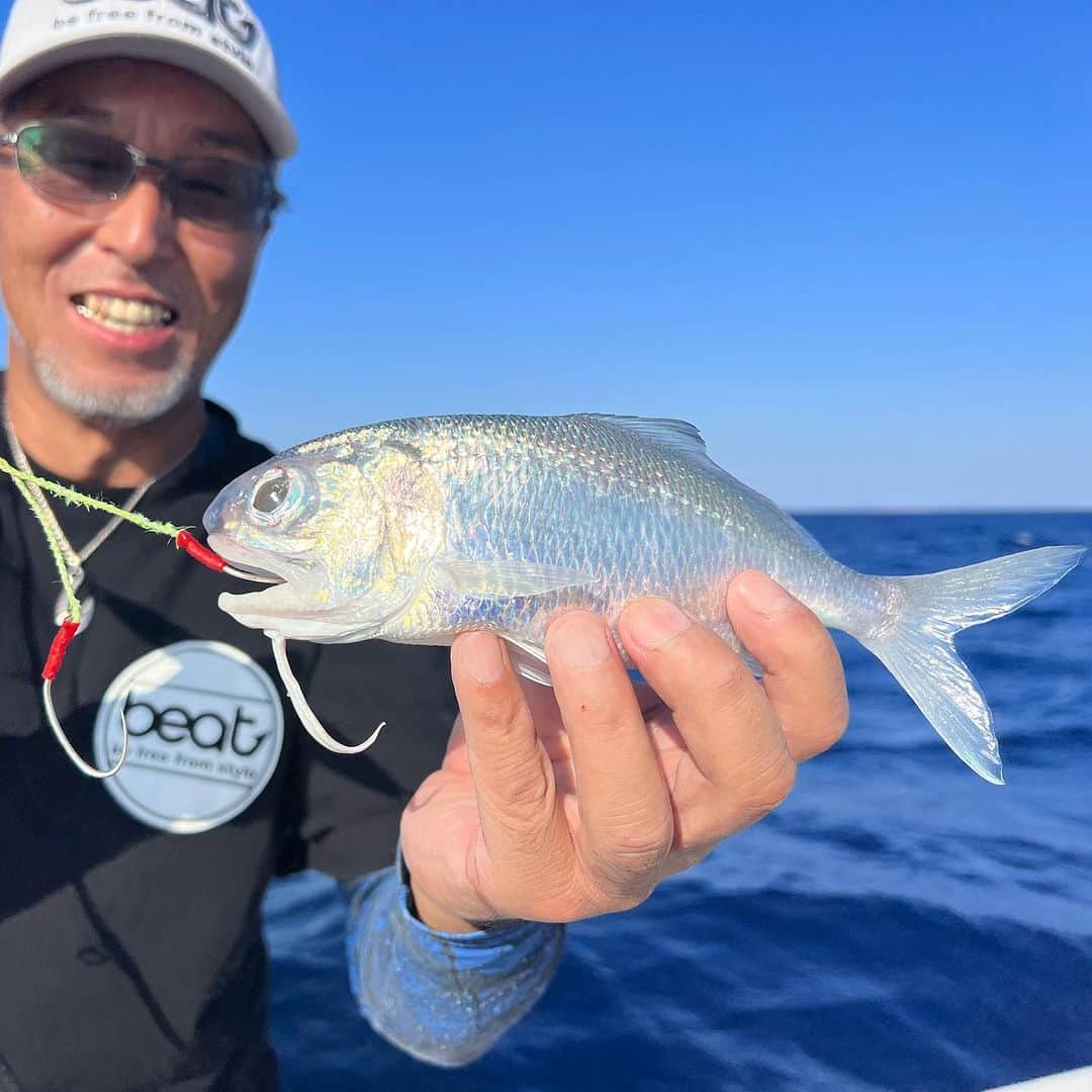 蒼井さやさんのインスタグラム写真 - (蒼井さやInstagram)「楽しすぎた沖縄オオタチ2日目！！ 一日を通してアタリは多く、イカやアラメギンメという珍しい魚も顔を出してくれたけど ...