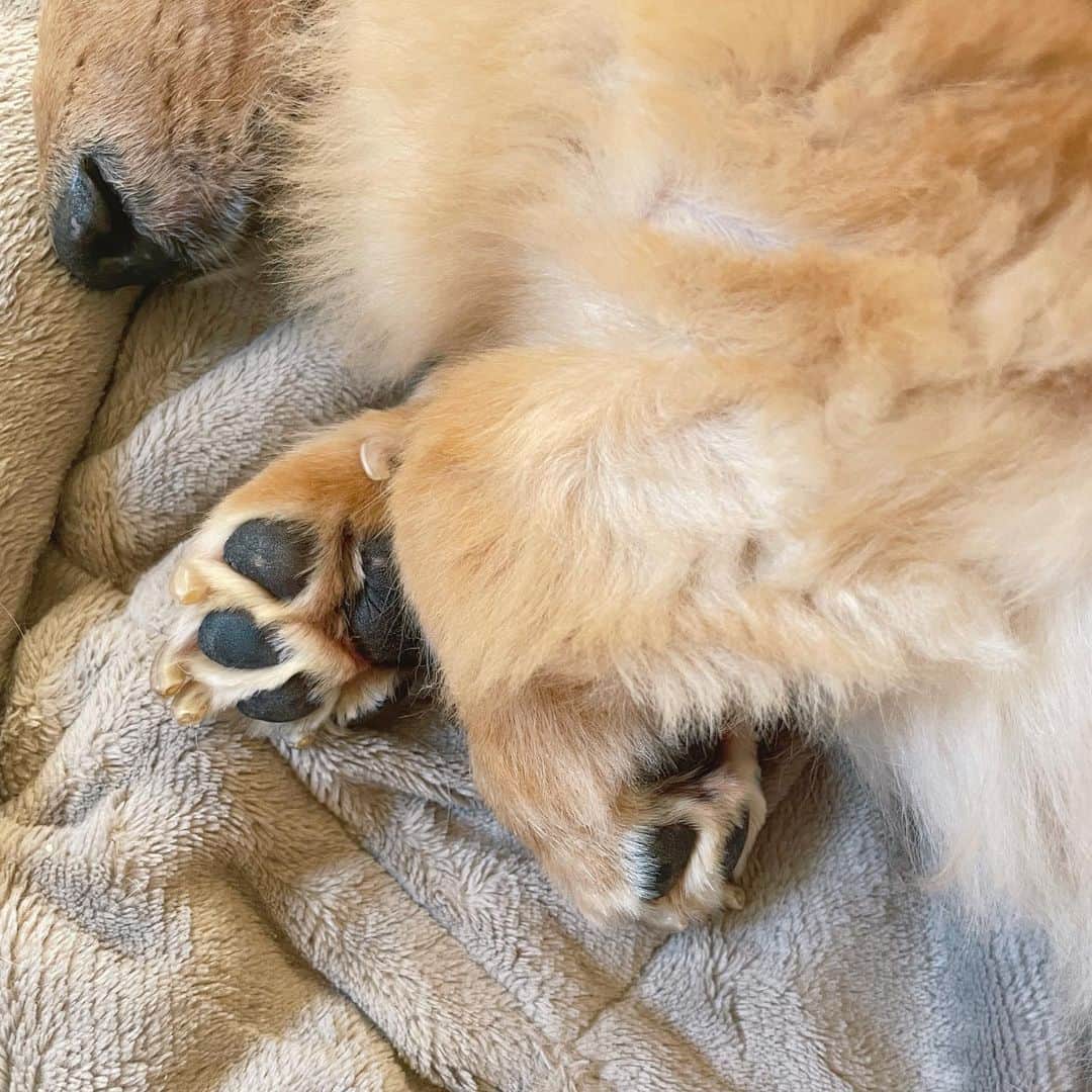 荒谷江莉香さんのインスタグラム - (荒谷江莉香@erika.araya.s2)