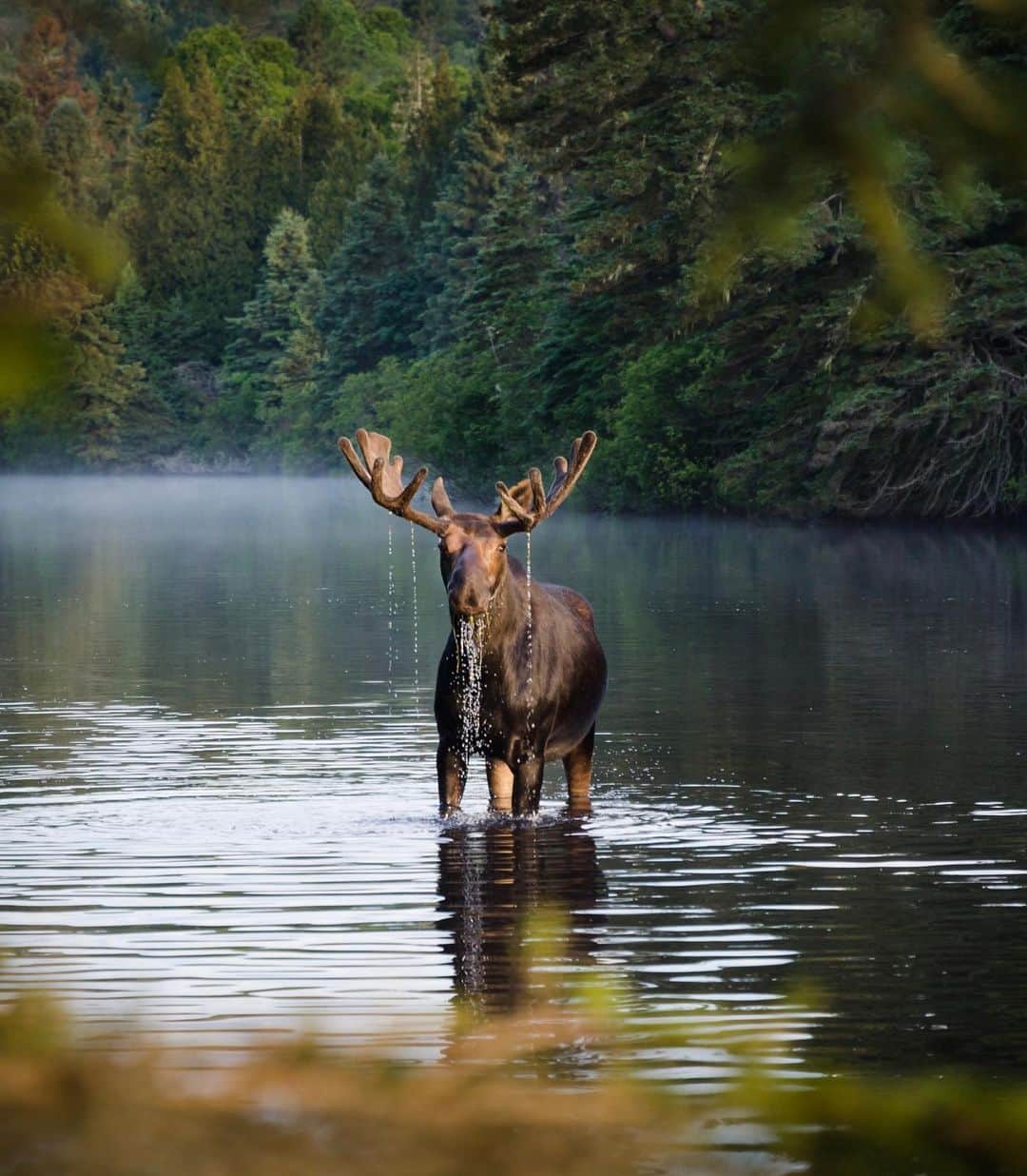 アメリカ内務省さんのインスタグラム写真 - (アメリカ内務省Instagram)「This handsome guy is giving ...