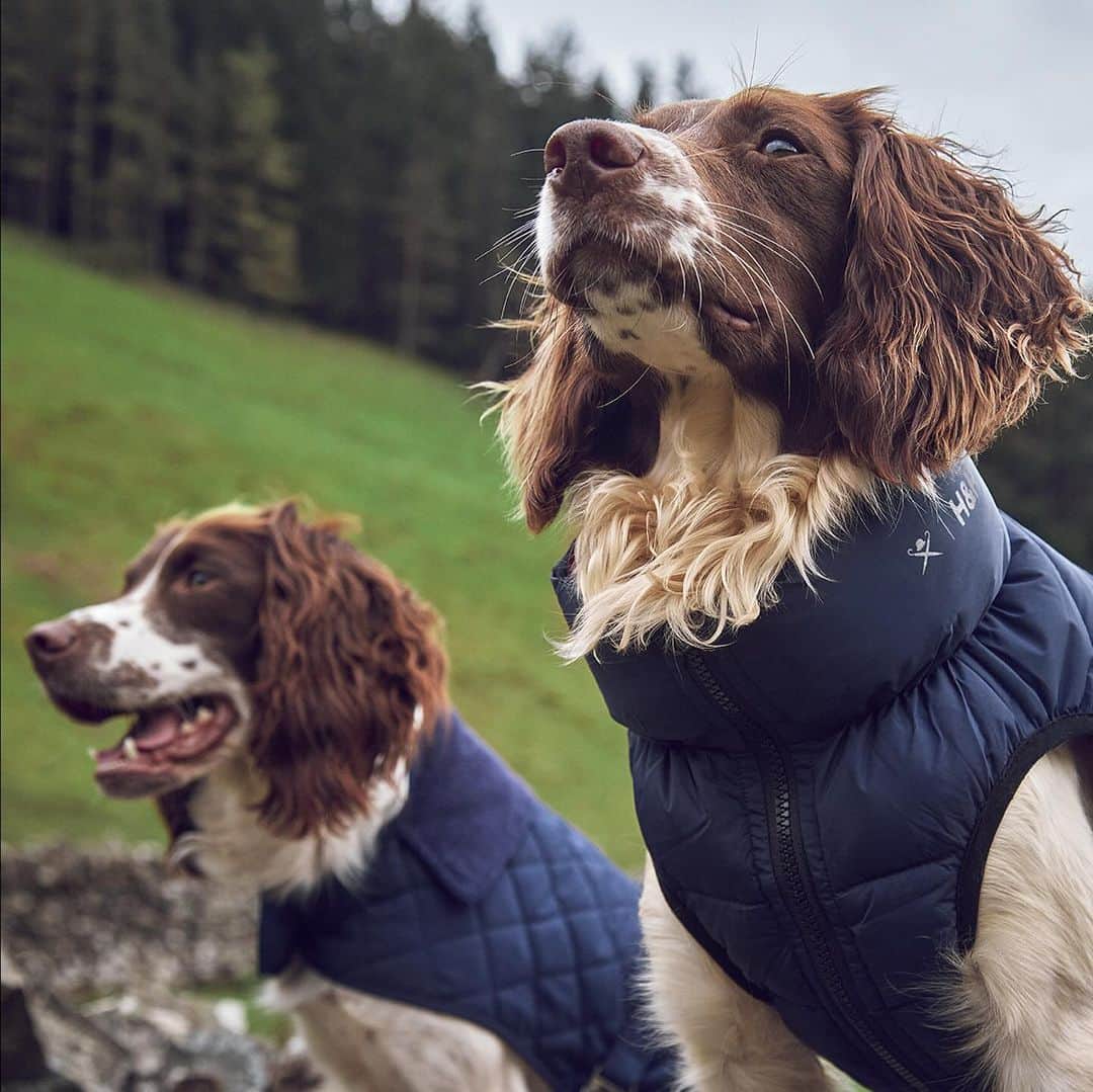 ハケットさんのインスタグラム写真 - (ハケットInstagram)「Discover our Hackett x Hugo & Hudson ...