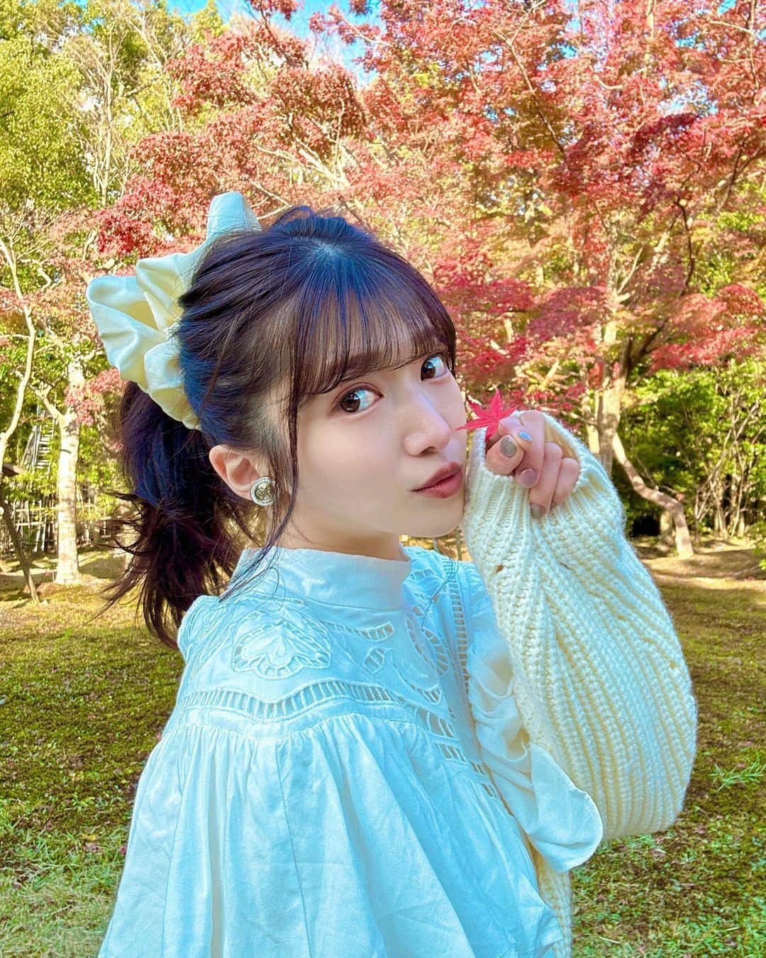 渚志帆さんのインスタグラム写真 - (渚志帆Instagram)「真っ赤な紅葉の葉っぱ𓂃𓂂🍁」11月21日 20時00分 - totsuka_ruu