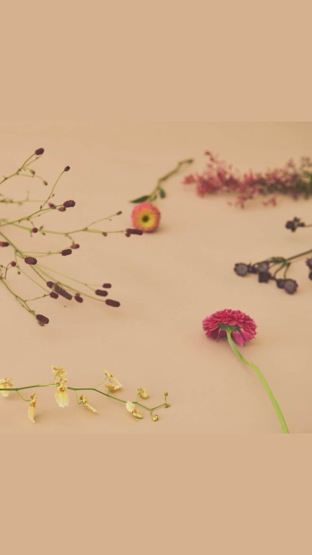 パラビオン オフィシャルさんのインスタグラム動画 - (パラビオン オフィシャルInstagram)「. ParAvion outer ...