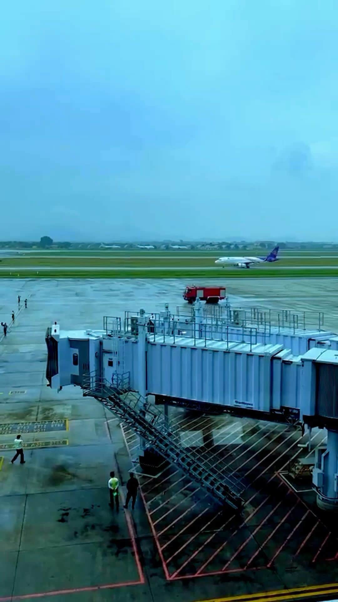 タイ航空さんのインスタグラム - (タイ航空@thaiairways)