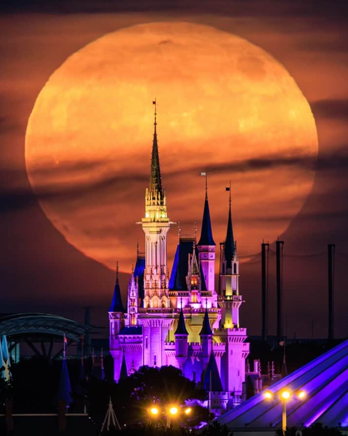 SHOCK EYEさんのインスタグラム写真 - (SHOCK EYEInstagram)「Happy Halloween 🎃 #ハロウィーン #ハロウィン #halloween」10月31日 ...