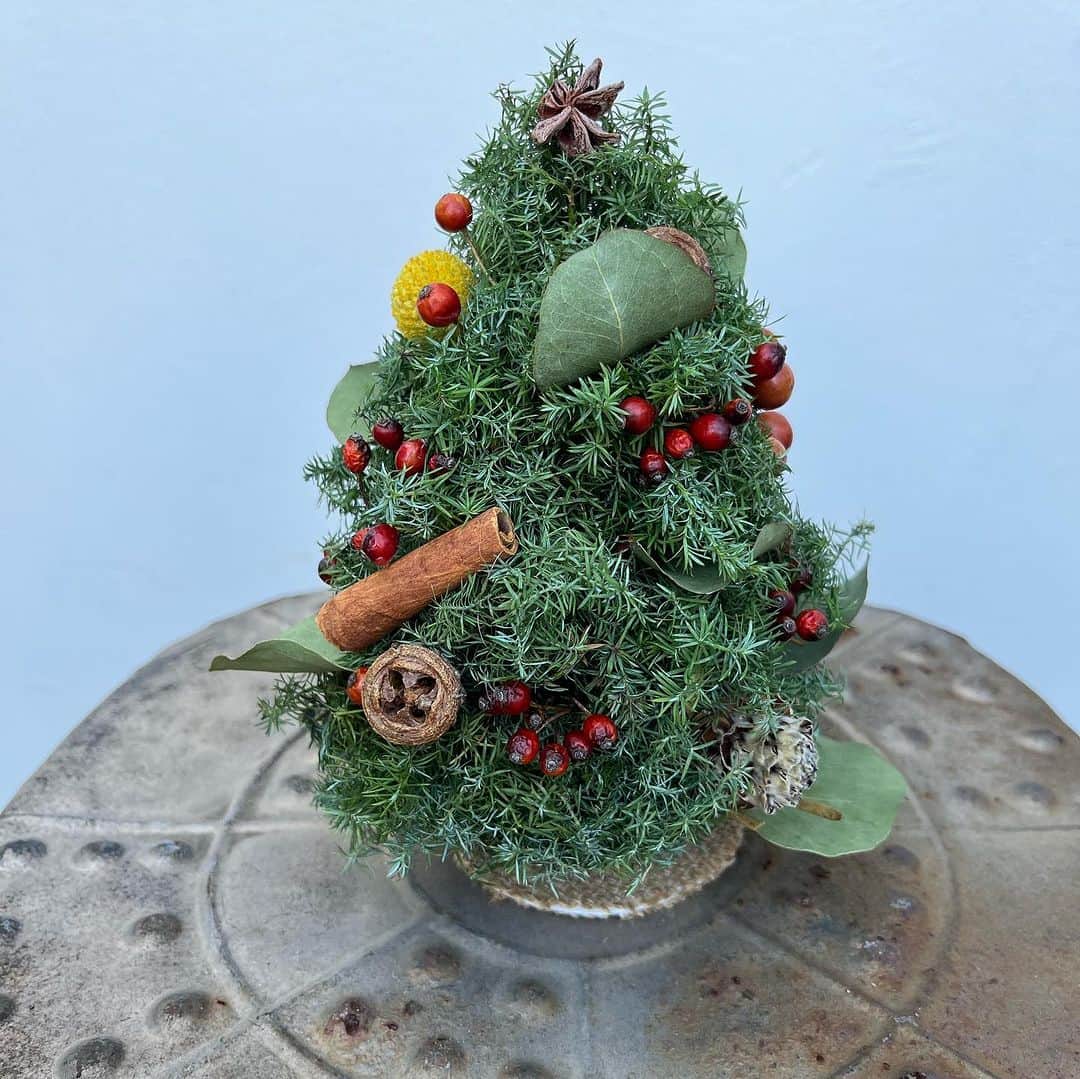 MILLE ECLAT.さんのインスタグラム写真 - (MILLE ECLAT.Instagram)「あっという間に今年も残り2ヶ月…🎄 . なのに日中は日差しはすごいし汗が止まらないしで季節 ...