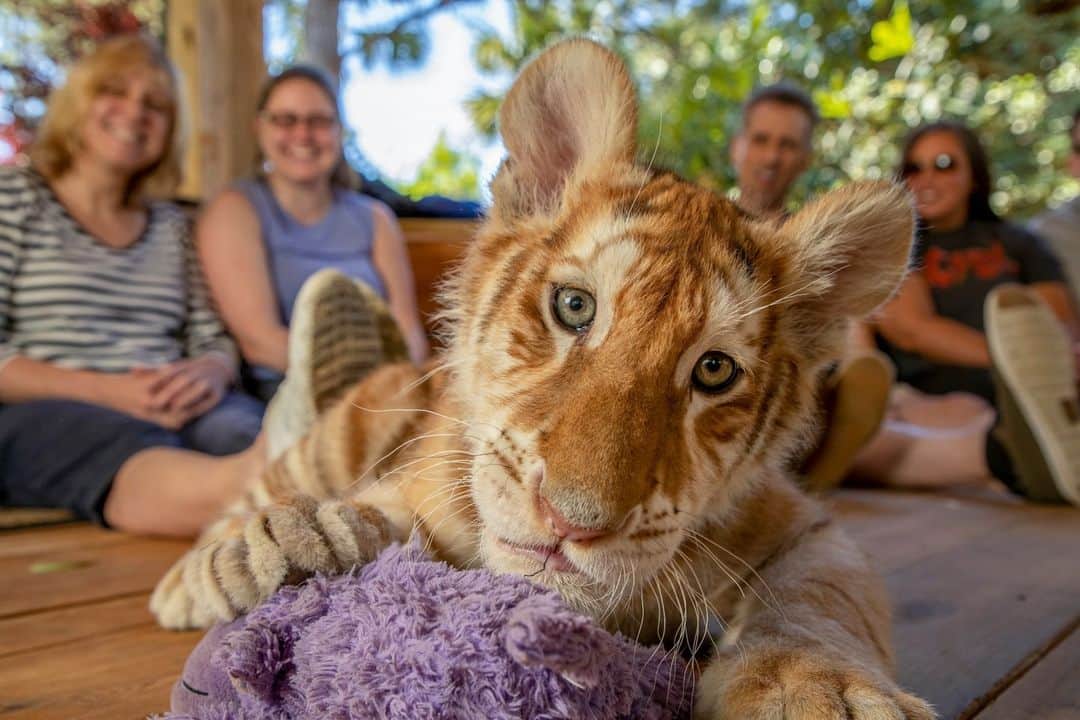 ナショナルジオグラフィックさんのインスタグラム写真 - (ナショナルジオグラフィックInstagram)「Congratulations to ...