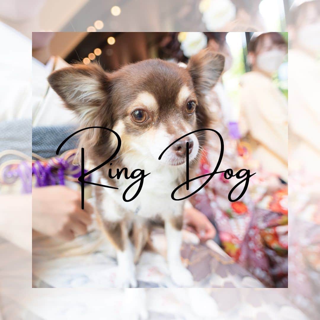 麗風つくばシーズンズテラスさんのインスタグラム - (麗風つくばシーズンズテラス@rayfuu)