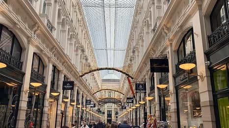 岡村咲さんのインスタグラム写真 - (岡村咲Instagram)「🍂 オランダで2度目の秋🍂 #海外移住 #オランダ移住」11月5日 6時13 ...