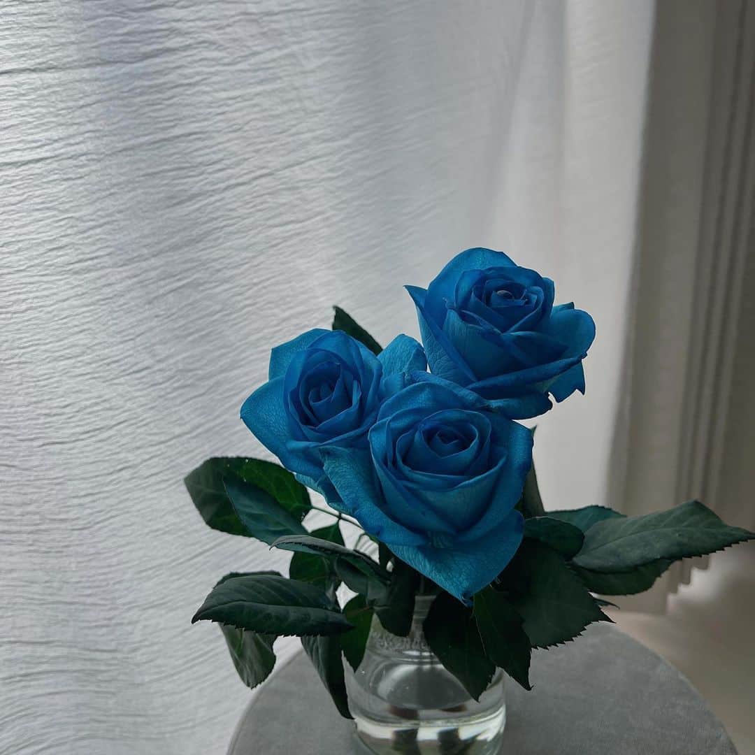 兒玉遥さんのインスタグラム写真 兒玉遥instagram 「💙🔷🦋🪼」11月7日 15時24分 Haruka Kodama919