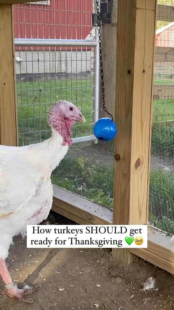 アリシア・シルヴァーストーンさんのインスタグラム動画 - (アリシア・シルヴァーストーンInstagram)「This is your ...