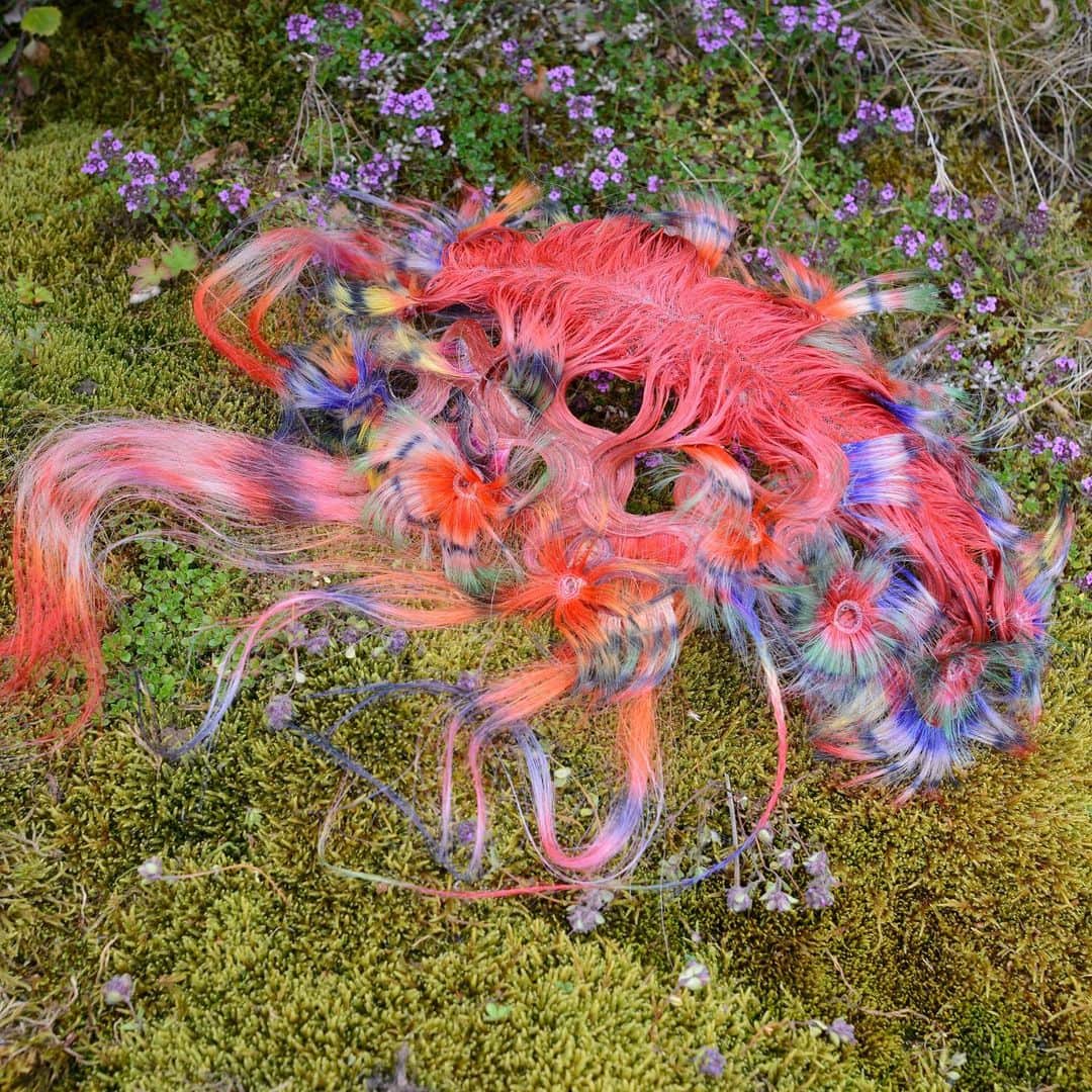 河野富広さんのインスタグラム写真 - (河野富広Instagram)「Fancy creatures for @bjork ...