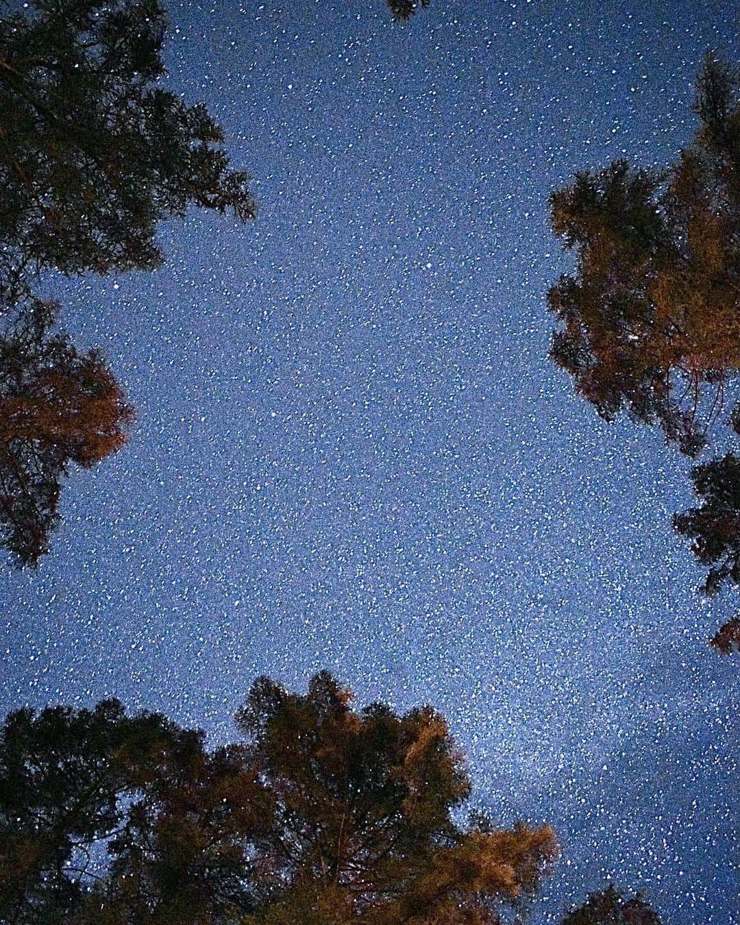 CAMP_HACKさんのインスタグラム写真 - (CAMP_HACKInstagram)「色鮮やかな紅葉🍁キャンプ特集 1,2枚目🍁 日ケ奥渓谷キャンプ場 3枚目🍁 休暇村乳頭温泉卿 乳頭 ...