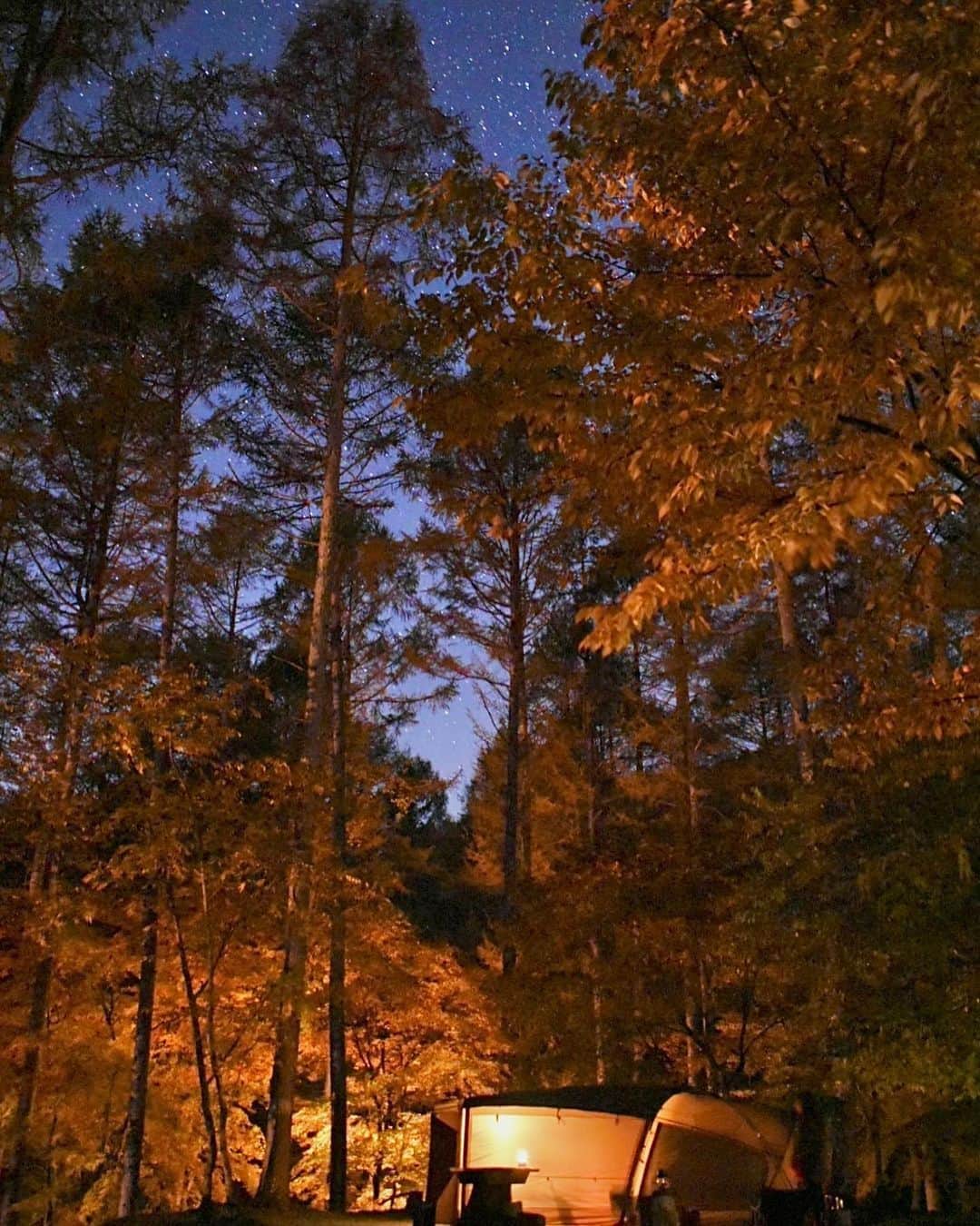 CAMP_HACKさんのインスタグラム写真 - (CAMP_HACKInstagram)「色鮮やかな紅葉🍁キャンプ特集 1,2枚目🍁 日ケ奥渓谷キャンプ場 3枚目🍁 休暇村乳頭温泉卿 乳頭 ...