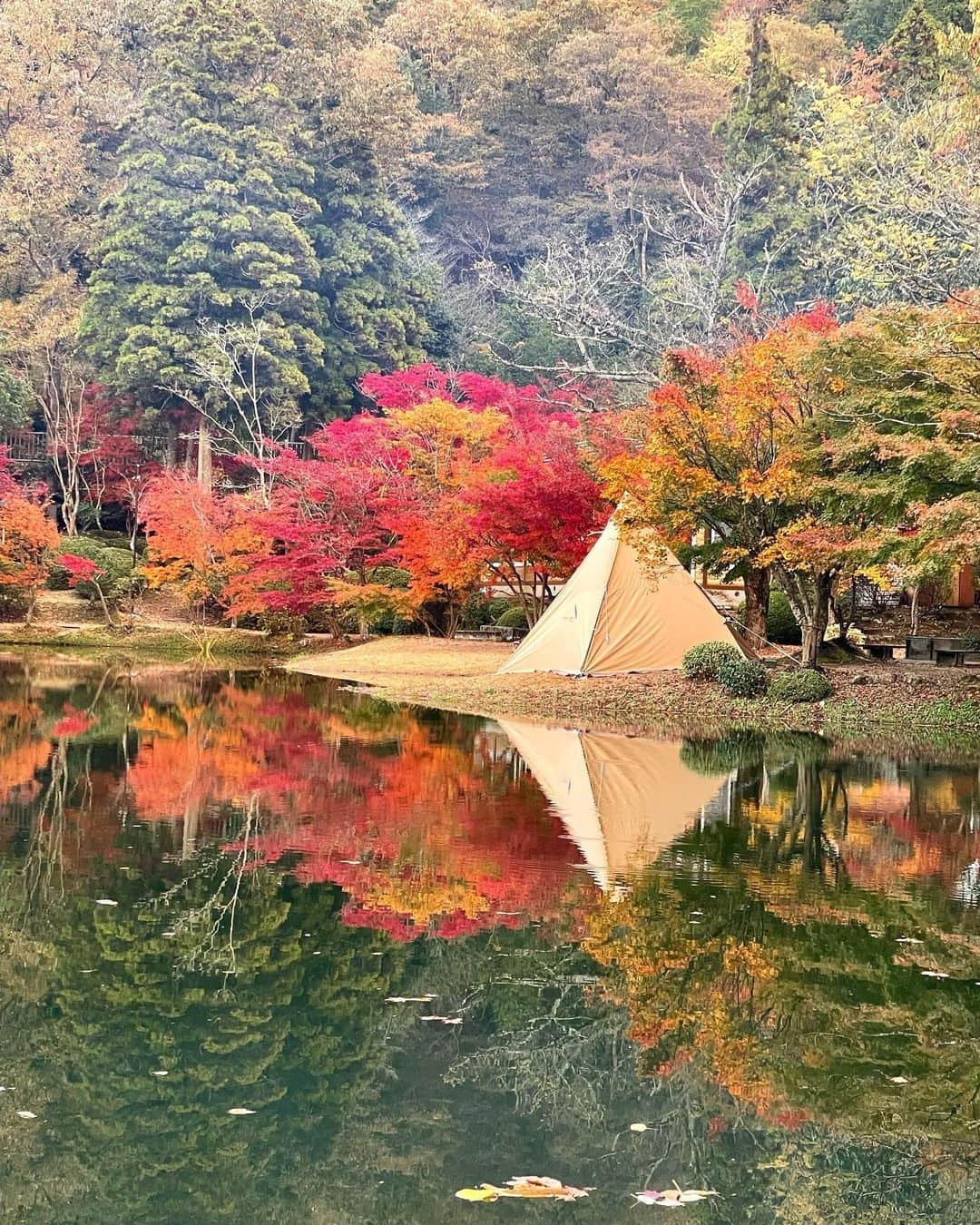 CAMP_HACKさんのインスタグラム写真 - (CAMP_HACKInstagram)「色鮮やかな紅葉🍁キャンプ特集 1,2枚目🍁 日ケ奥渓谷キャンプ場 3枚目🍁 休暇村乳頭温泉卿 乳頭 ...