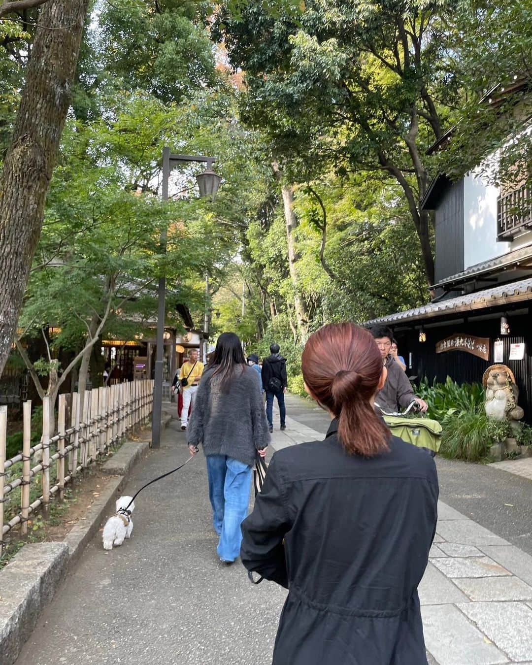 寺本莉緒さんのインスタグラム写真 - (寺本莉緒Instagram)「最近の私」11月13日 22時01分 - lespros_rio