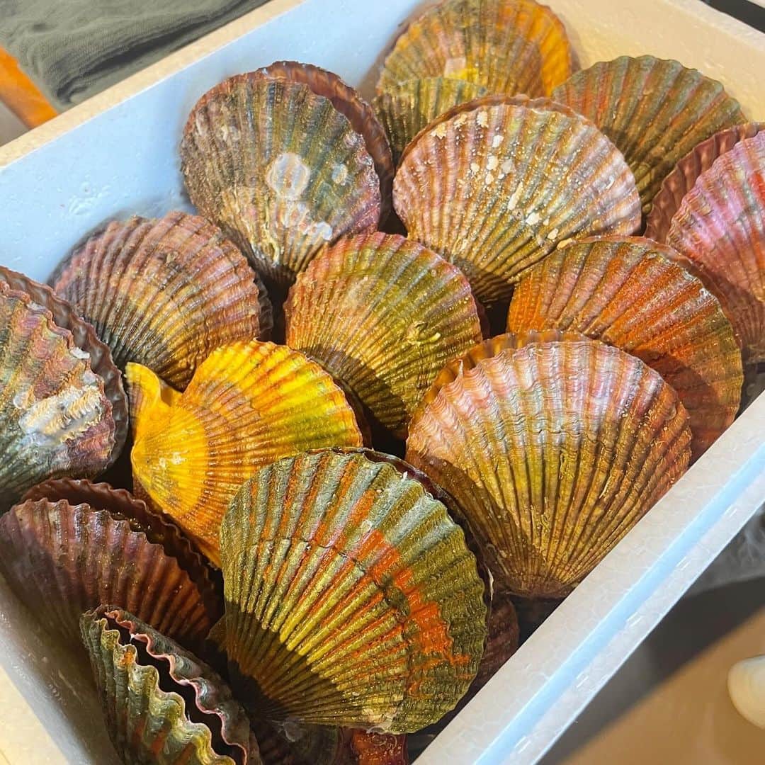 尾崎ななみさんのインスタグラム写真 - (尾崎ななみInstagram)「#番組出演 #三重県 #太田胃散 の公式チャンネル出演。オフショット📸 ...