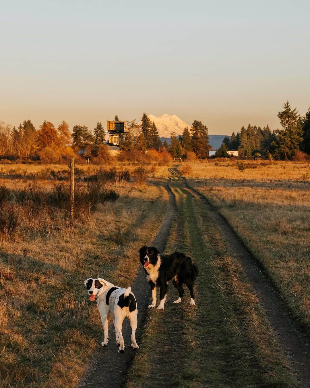 Andrew Knappさんのインスタグラム写真 - (Andrew KnappInstagram)「Road side stop to ...