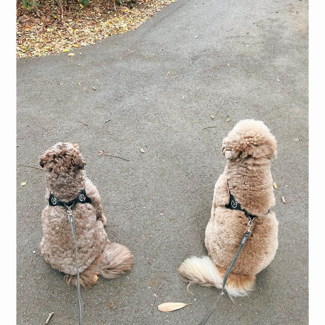 kokiさんのインスタグラム写真 - (kokiInstagram)「Recent photos 🥰💗🌱 Hat @bape_japan」11月18日 18時34分 - koki